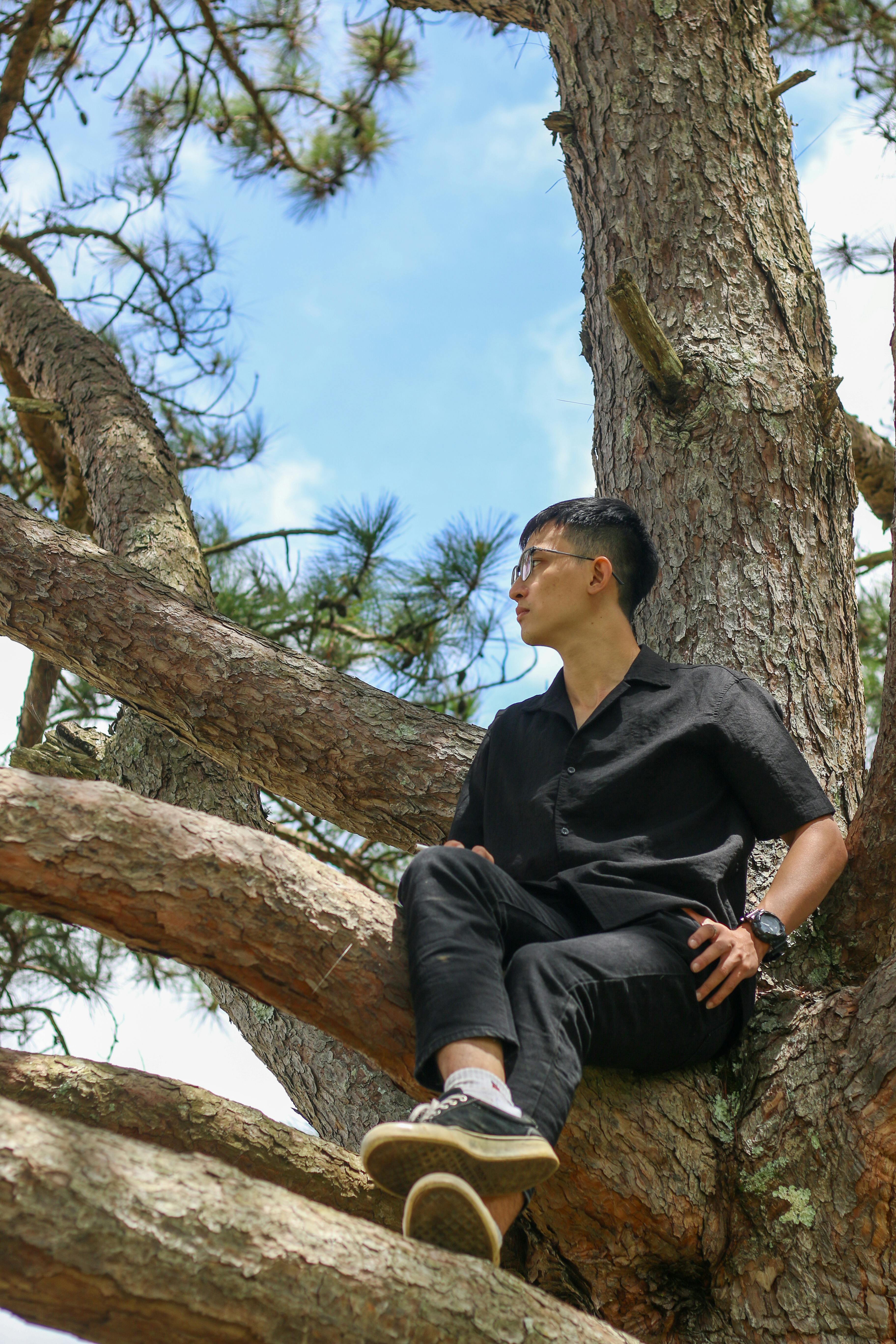 Man Relaxing on Tree · Free Stock Photo