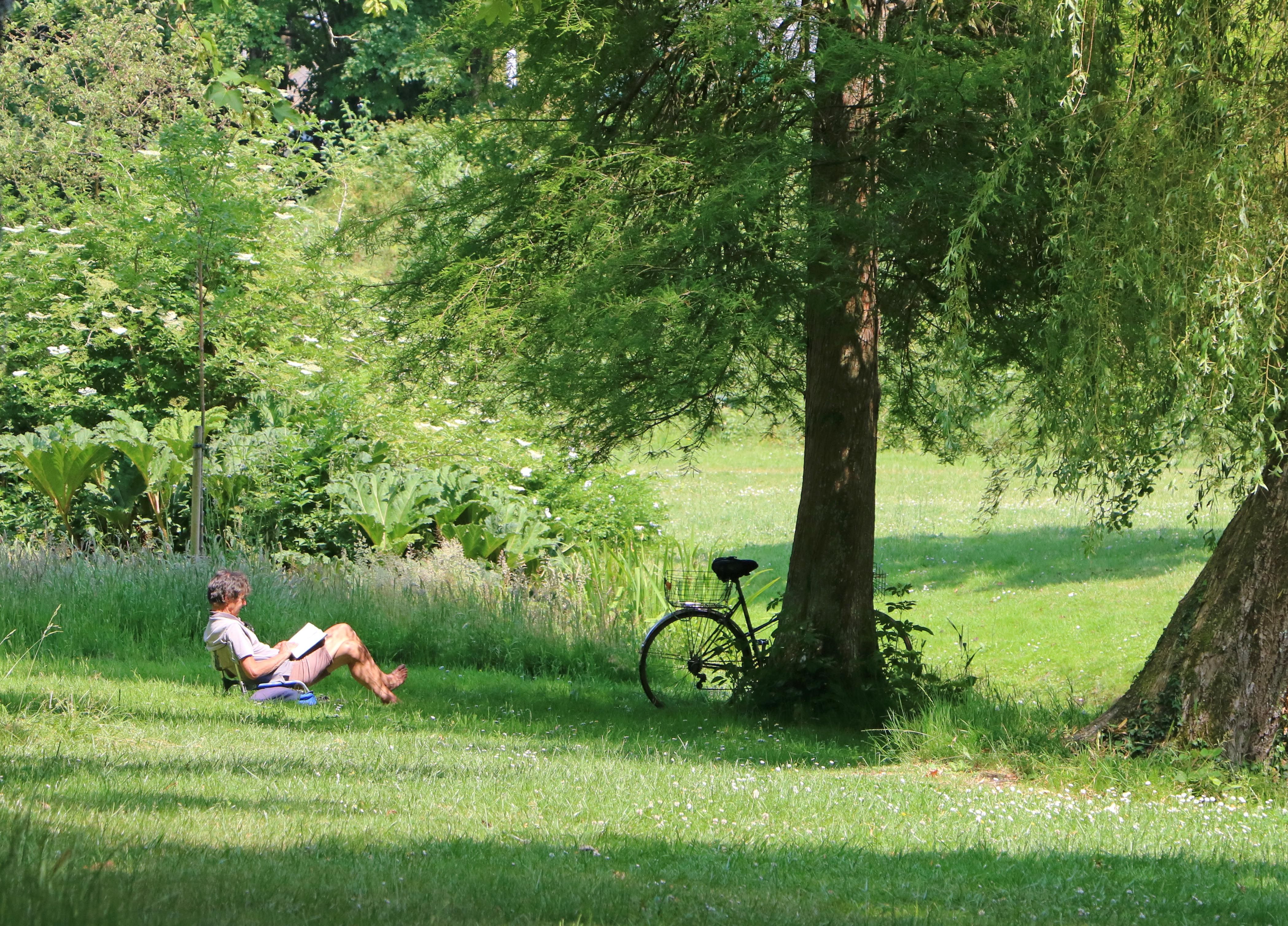 Bike Streetpost Photos, Download The BEST Free Bike Streetpost Stock ...