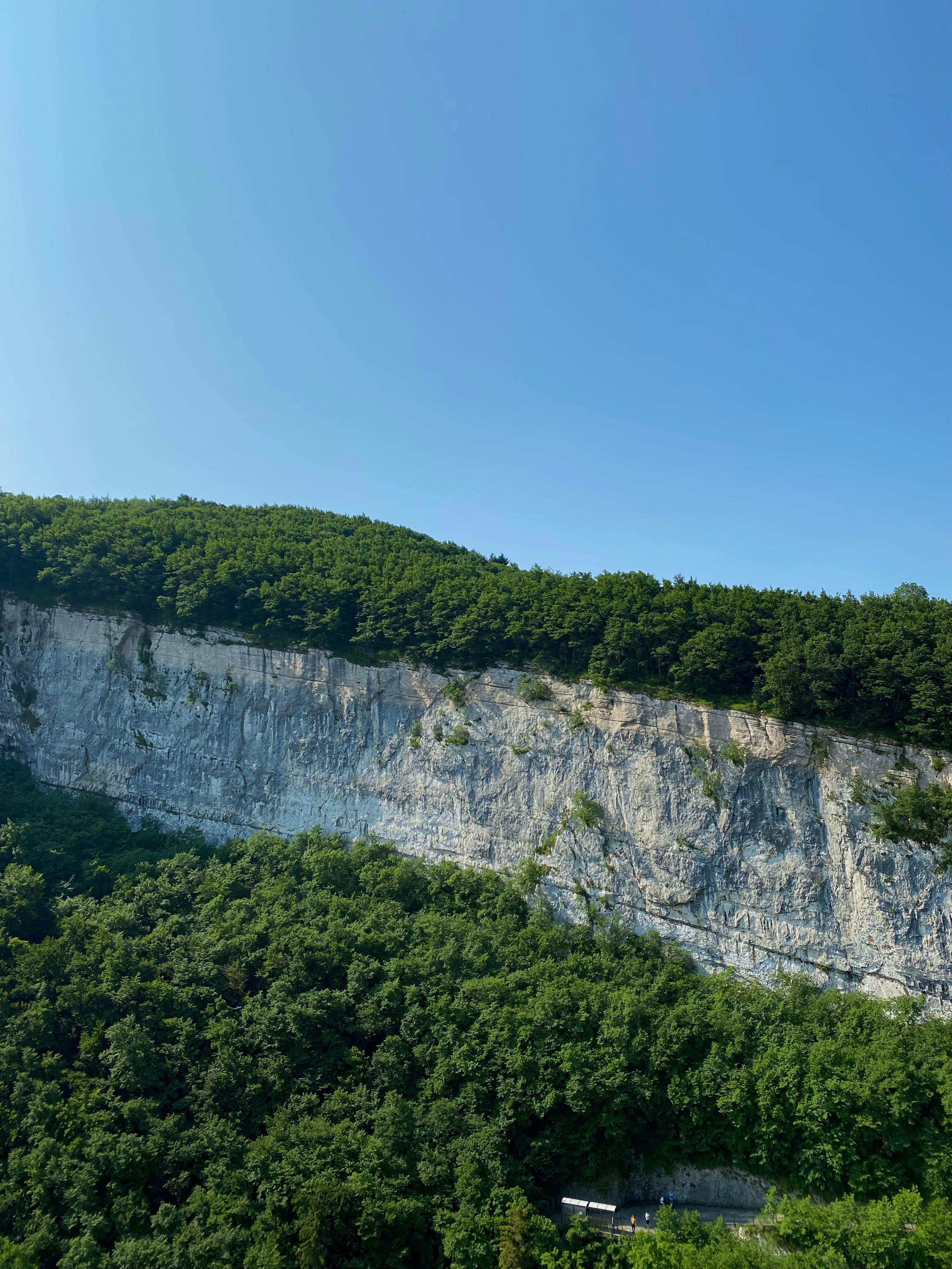 Rock Wall in Forest · Free Stock Photo