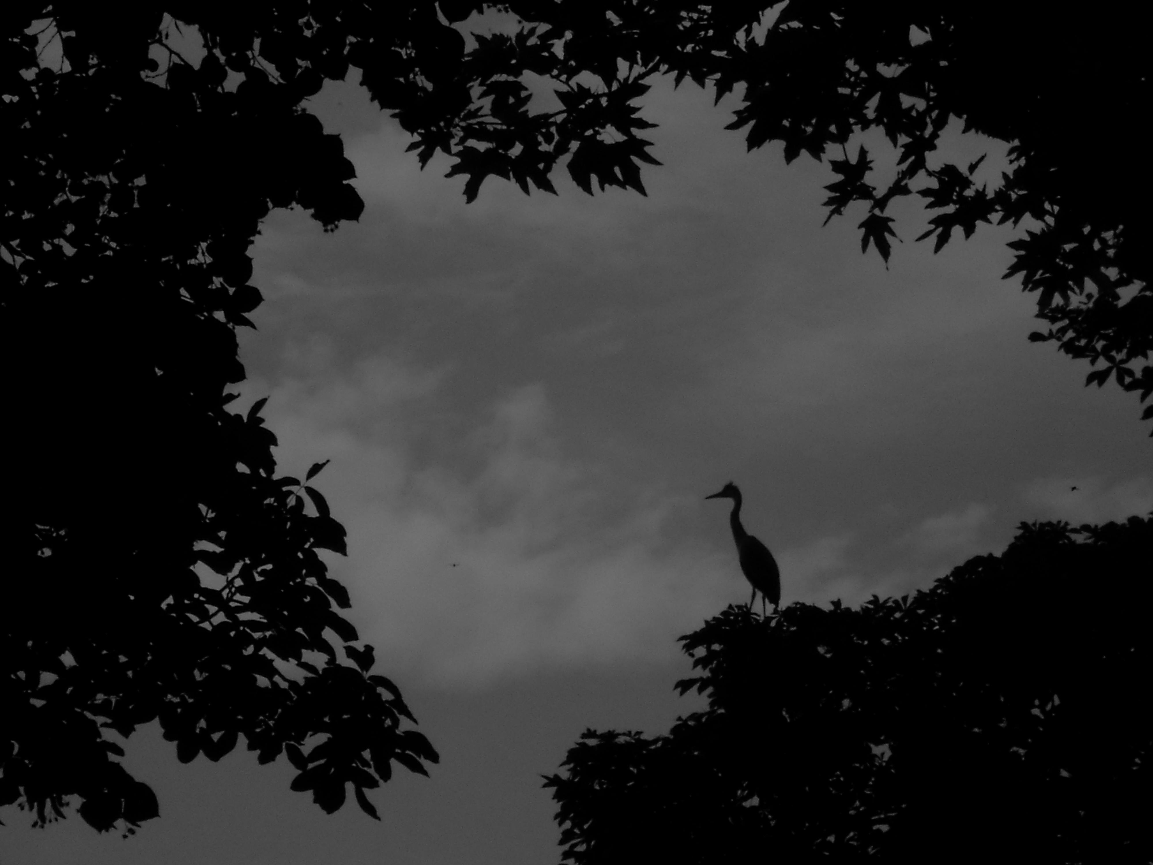 Metehan Alp - 摄影