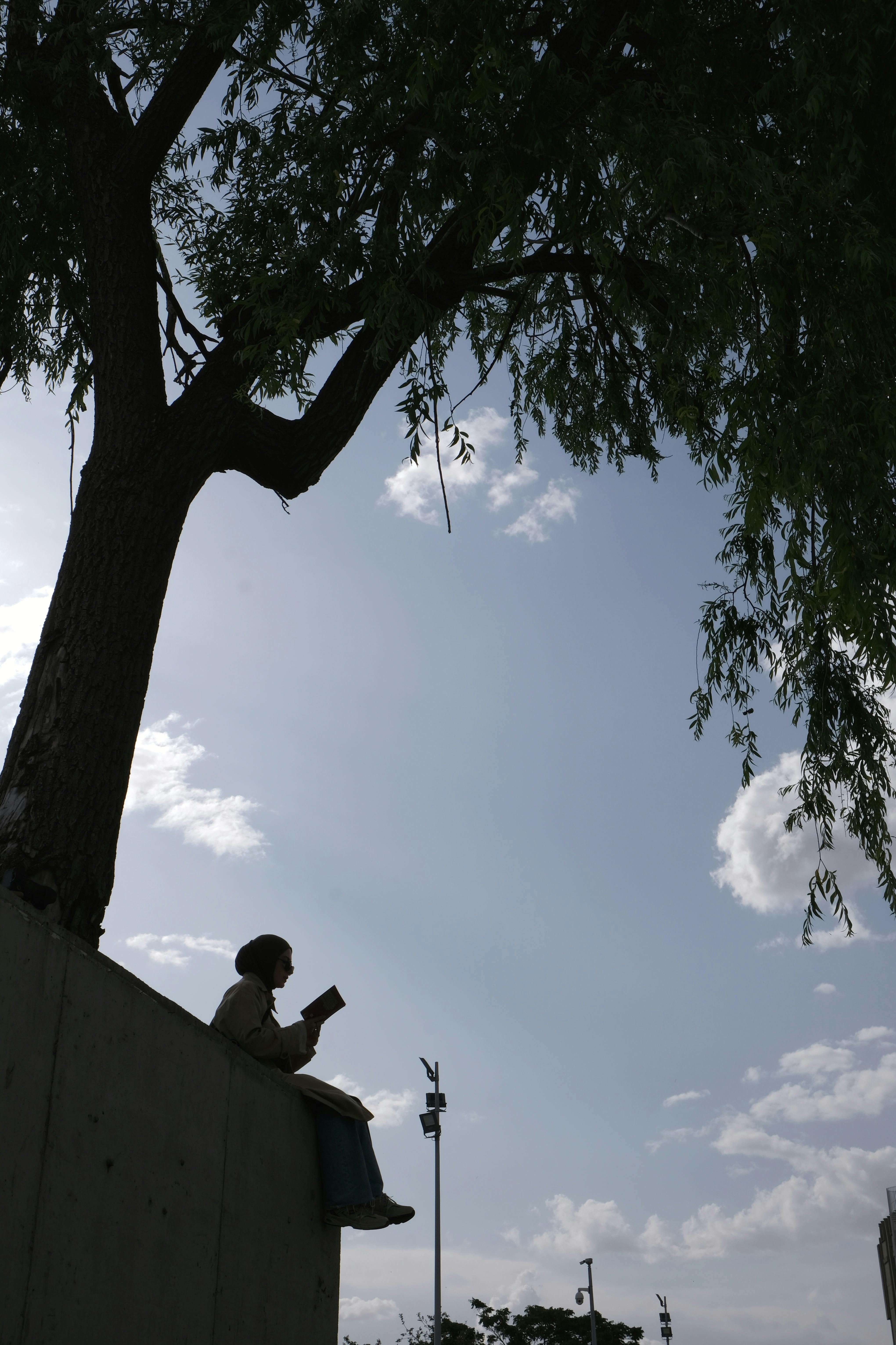 Book Character Silhouette Photos, Download The BEST Free Book Character ...