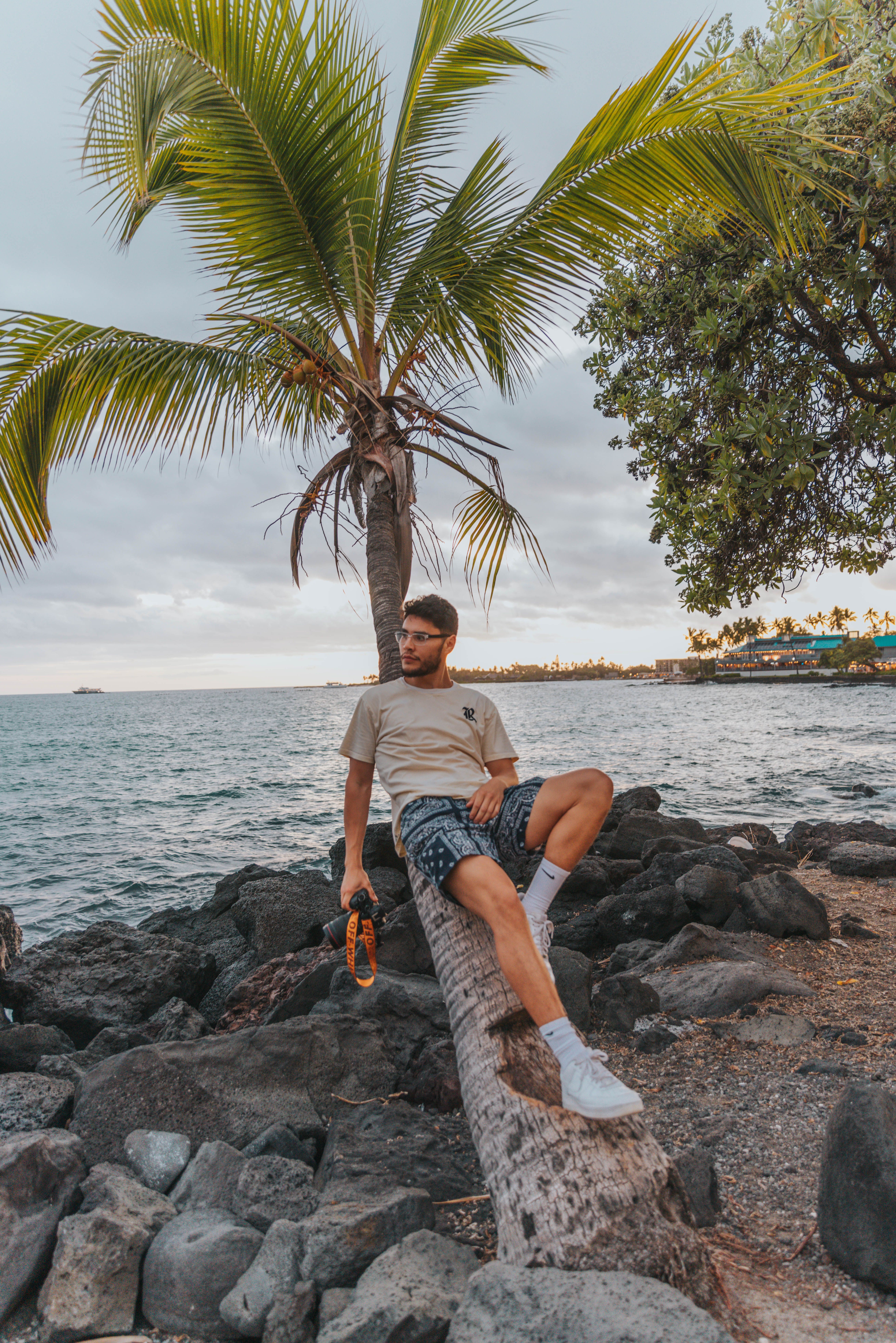 A man sitting on a palm tree by the ocean · Free Stock Photo
