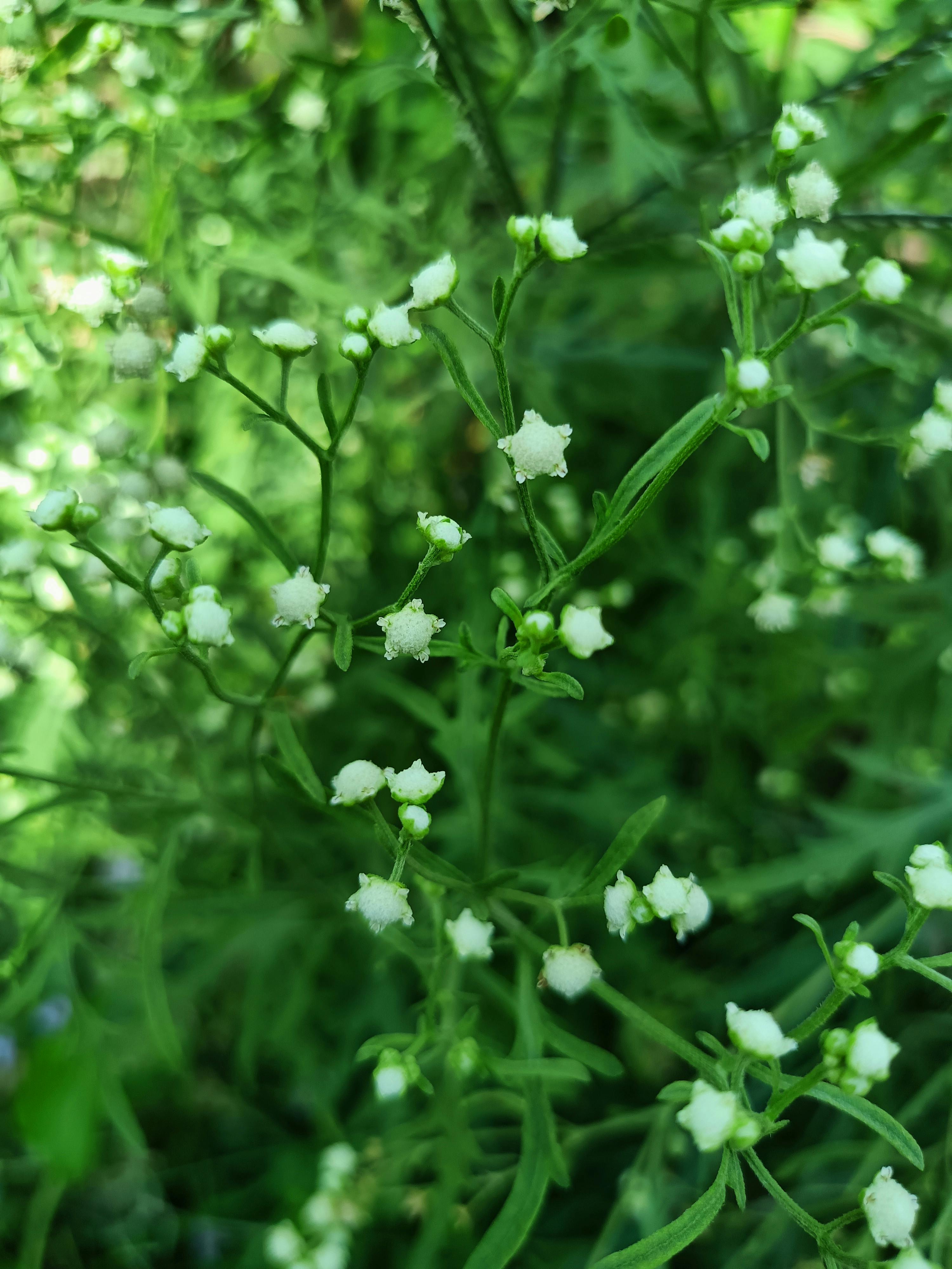 AkaSh paTel - 攝影