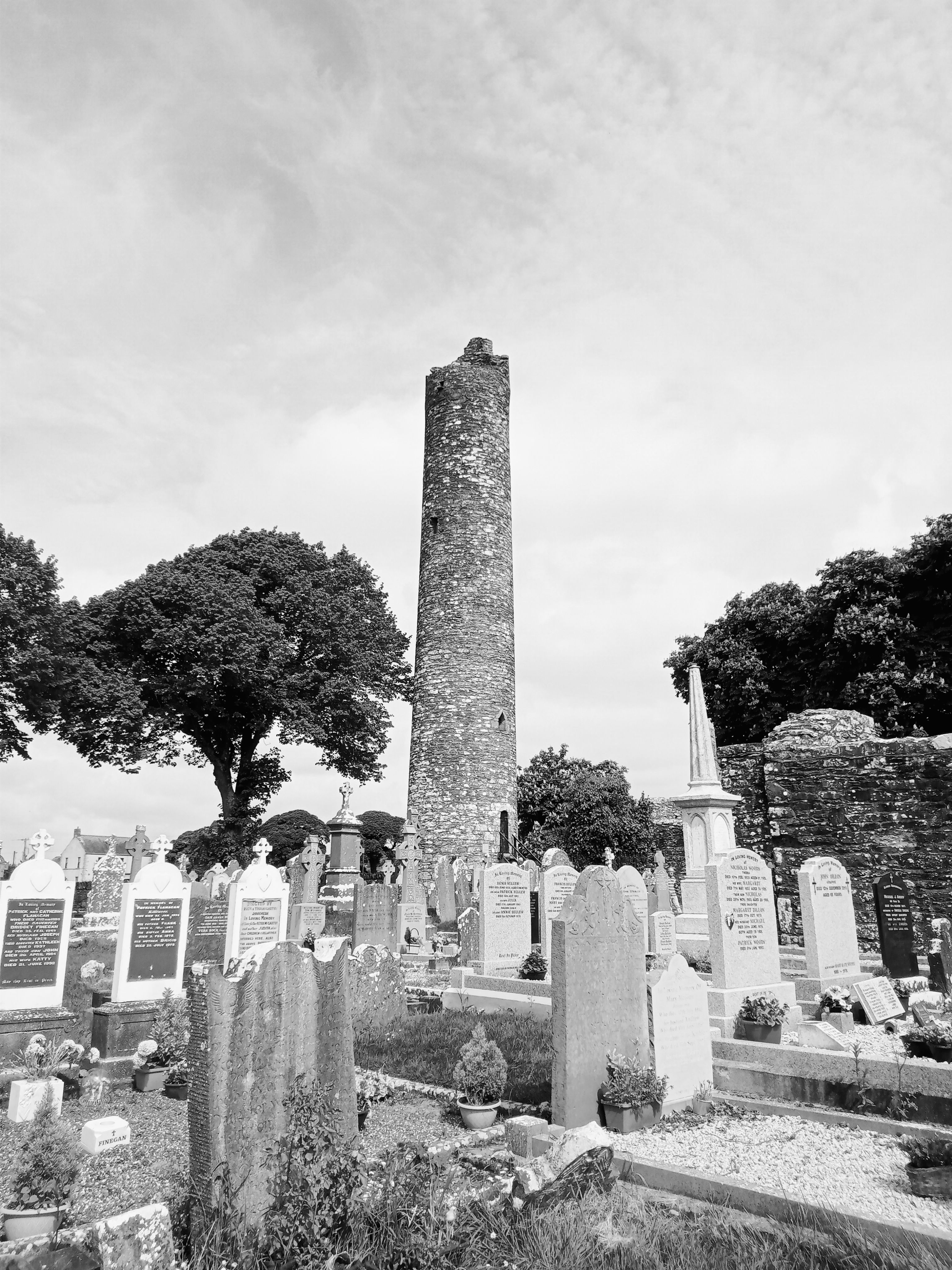 Tombstones in Cemetery · Free Stock Photo