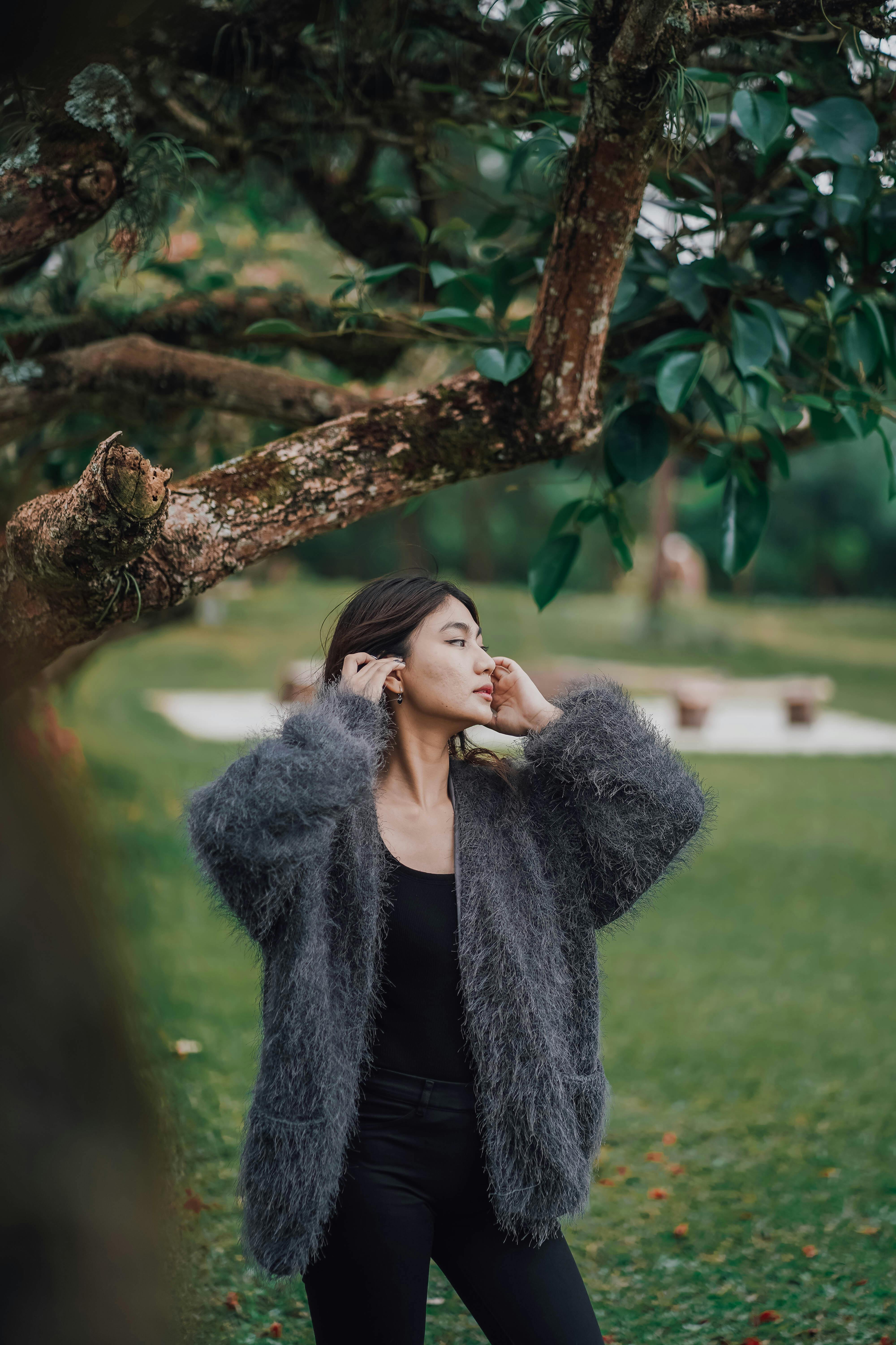 Empress Splendor Tree Photos, Download The BEST Free Empress Splendor ...