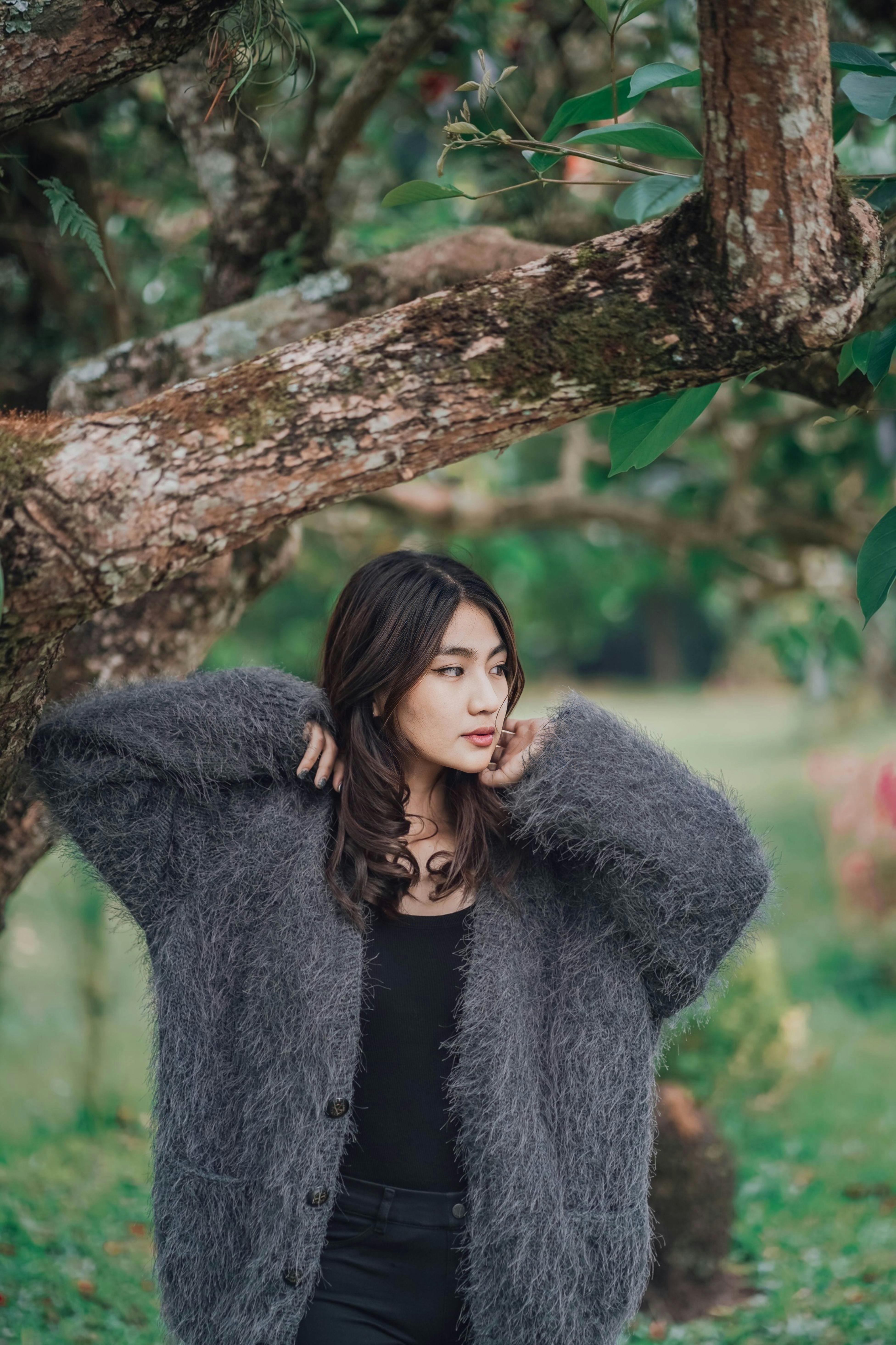 Empress Splendor Tree Photos, Download The BEST Free Empress Splendor ...