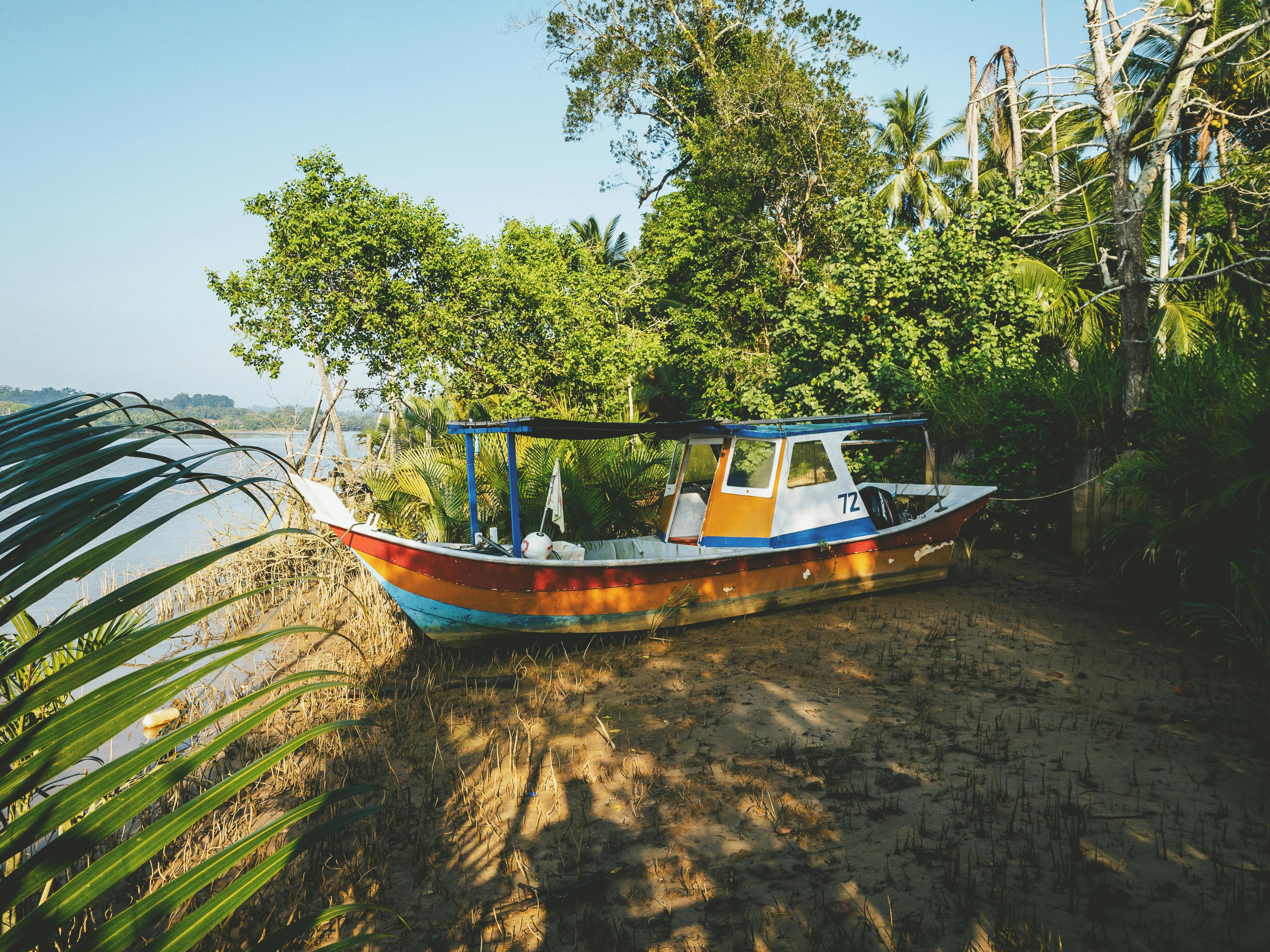 A Fishing Boat Standing on a Beach near Trees · Free Stock Photo