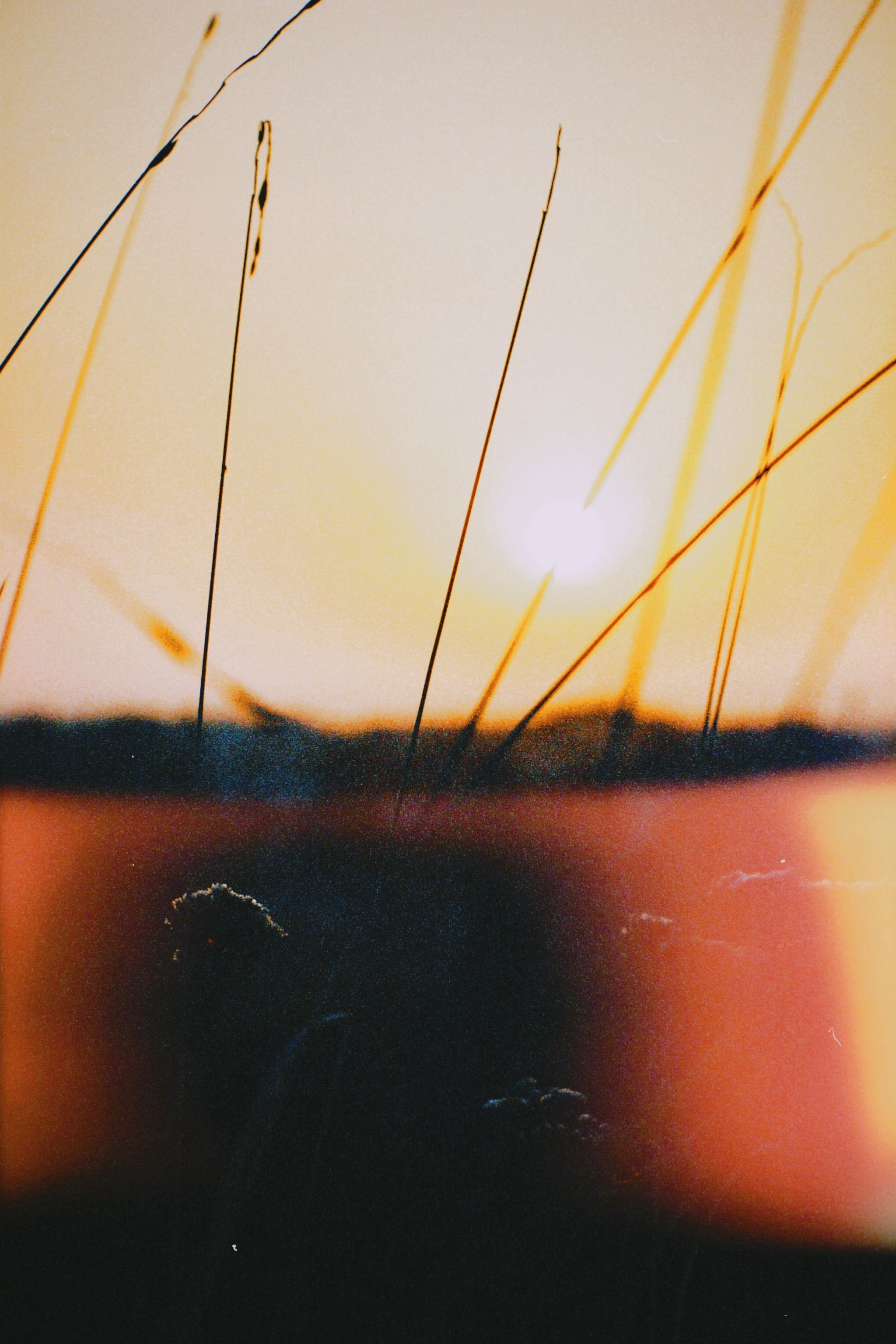 Bright Sunlight Photos, Download The BEST Free Bright Sunlight Stock ...