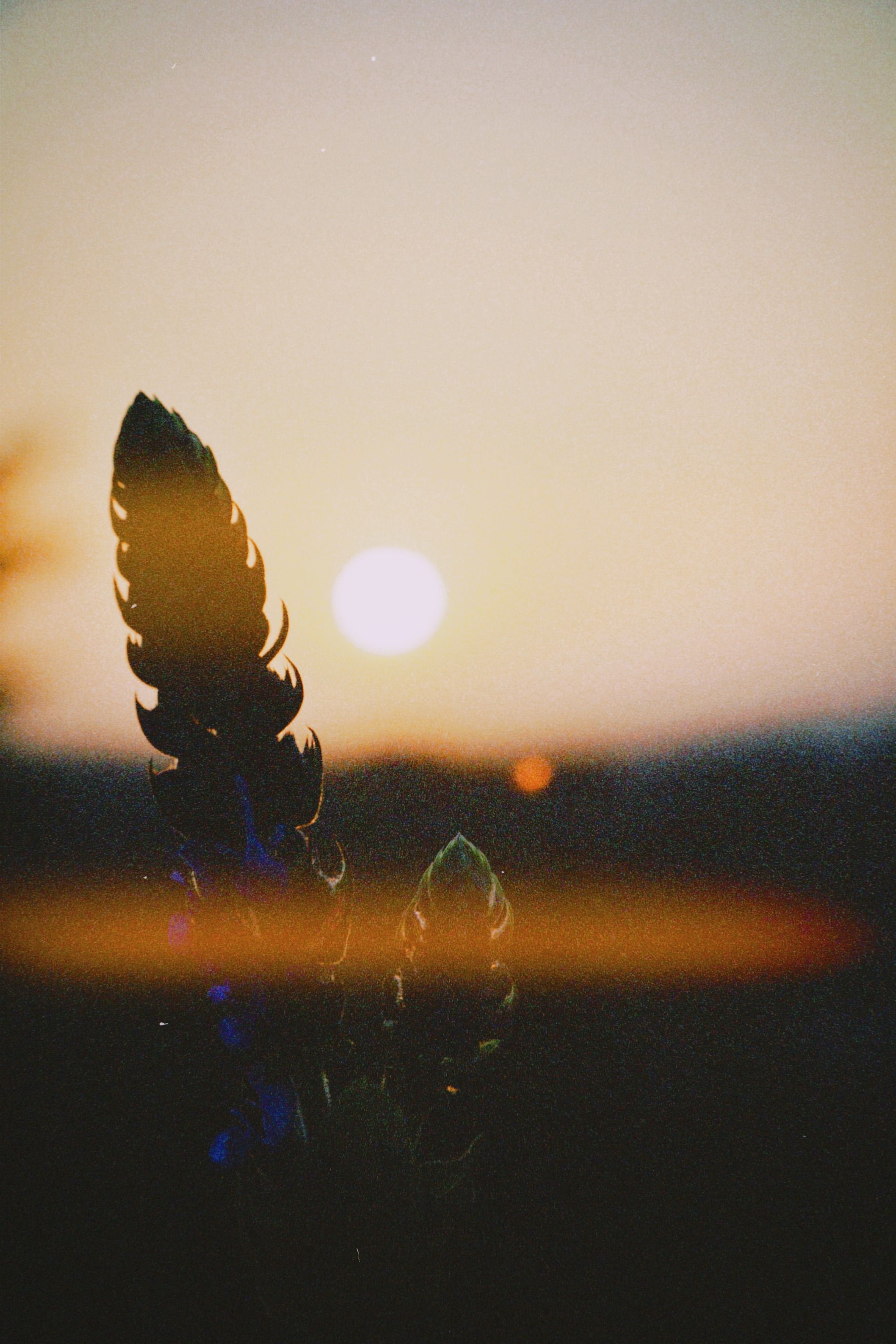 Bright Sunlight Photos, Download The BEST Free Bright Sunlight Stock ...