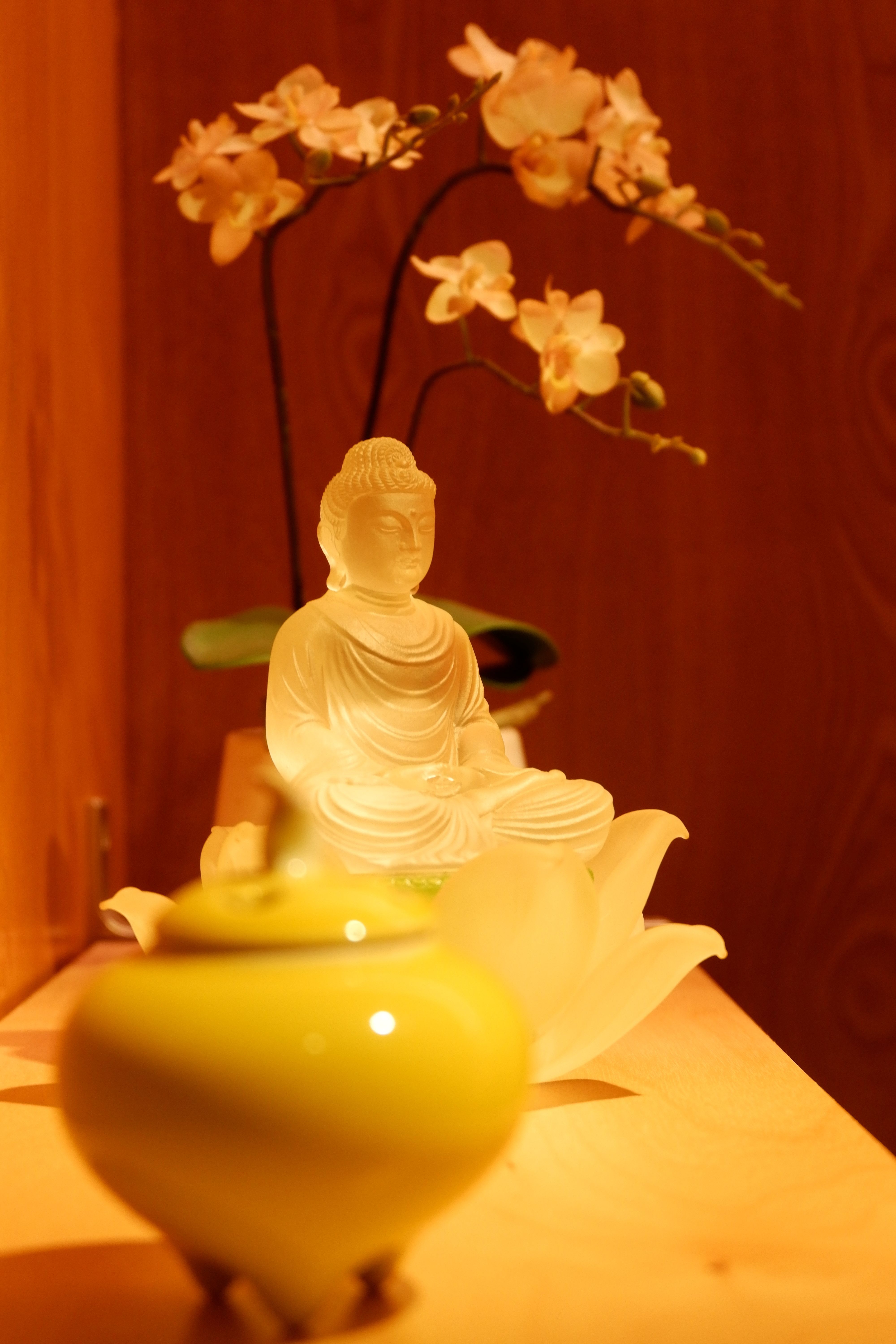 Buddhist Family Photos, Download The BEST Free Buddhist Family Stock ...