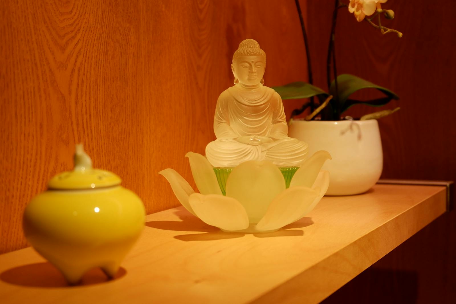 Buddha Plant Photos, Download The BEST Free Buddha Plant Stock Photos ...