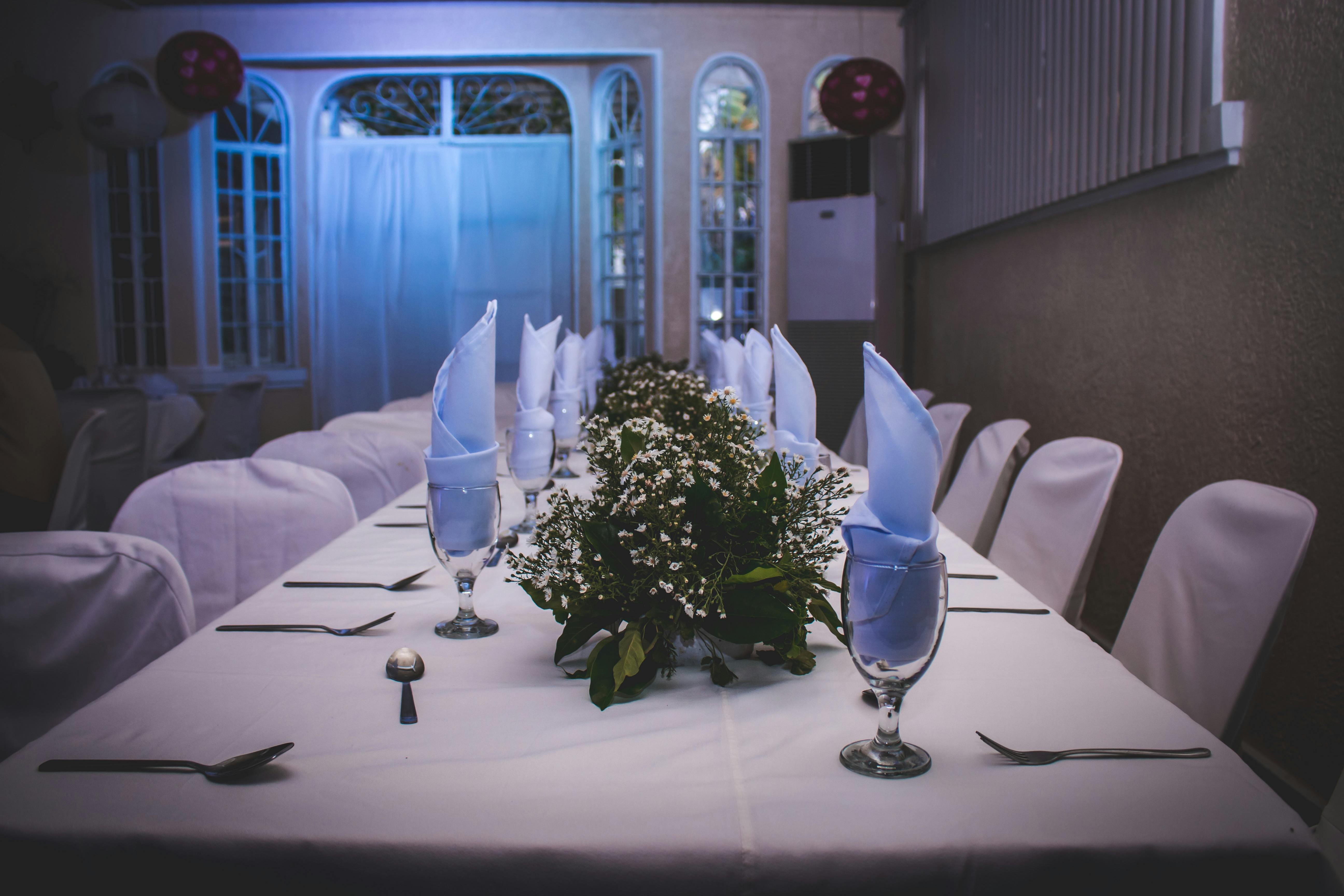 king caplis - 摄影