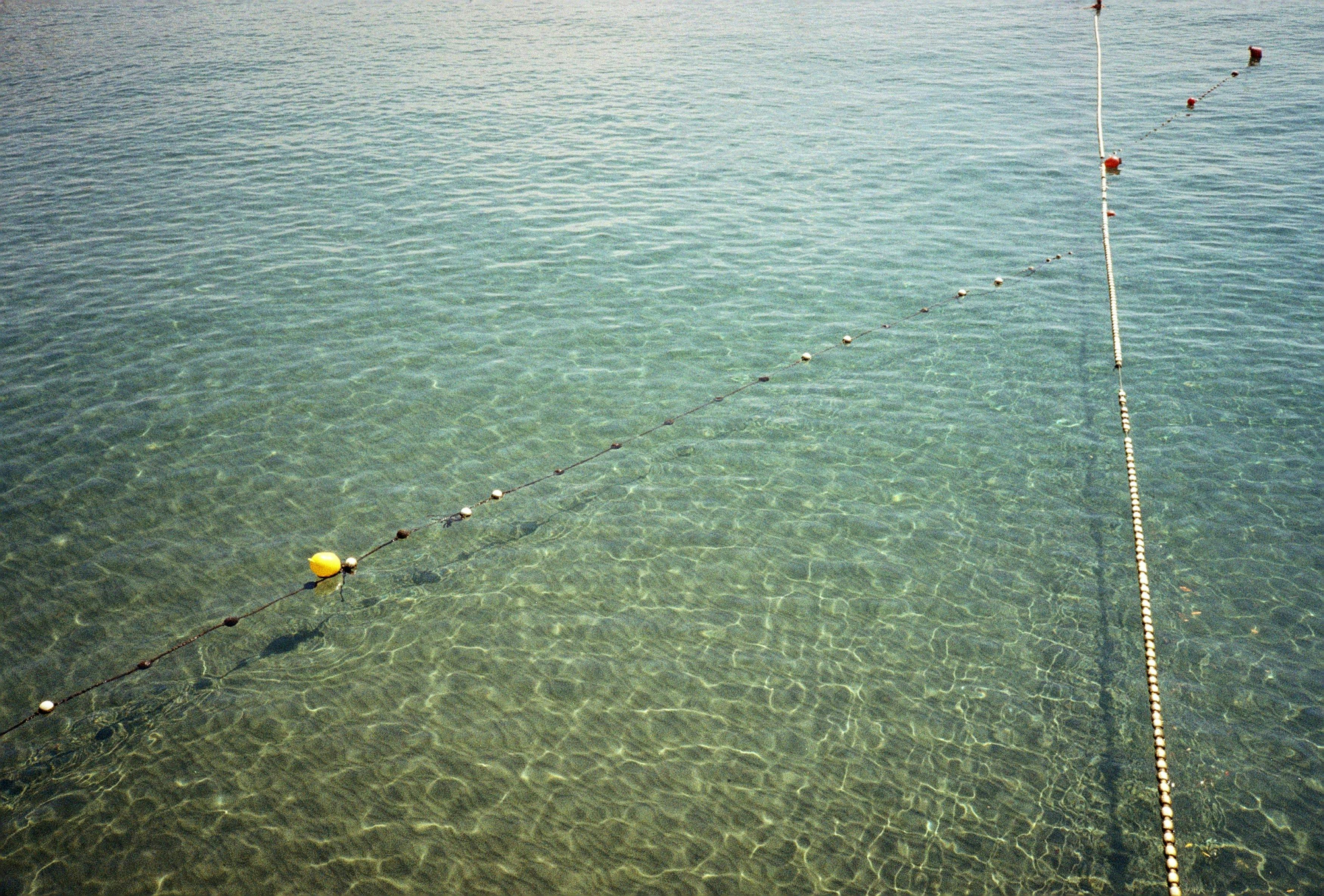 Marine Barrier Photos, Download The BEST Free Marine Barrier Stock ...