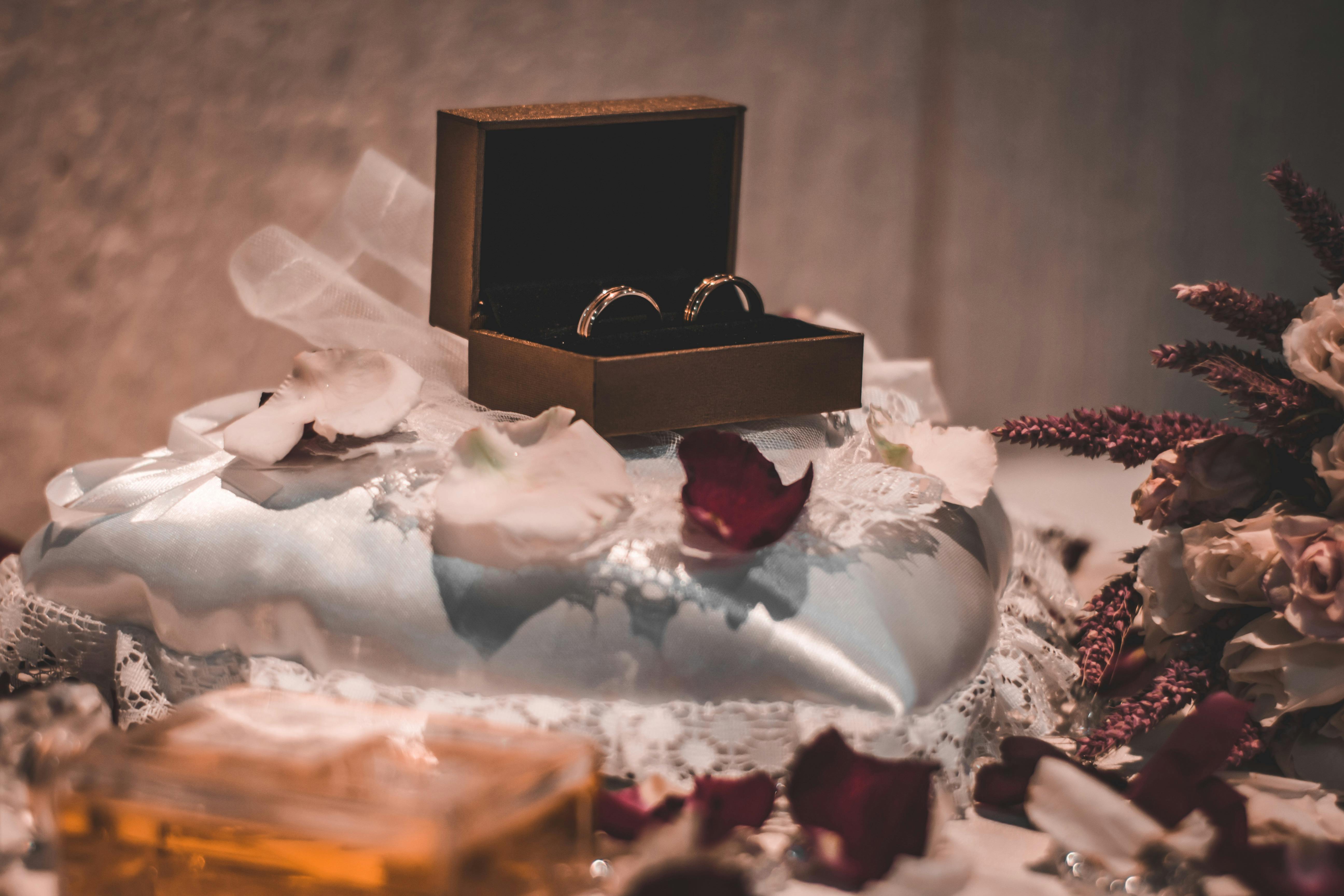 king caplis - 摄影