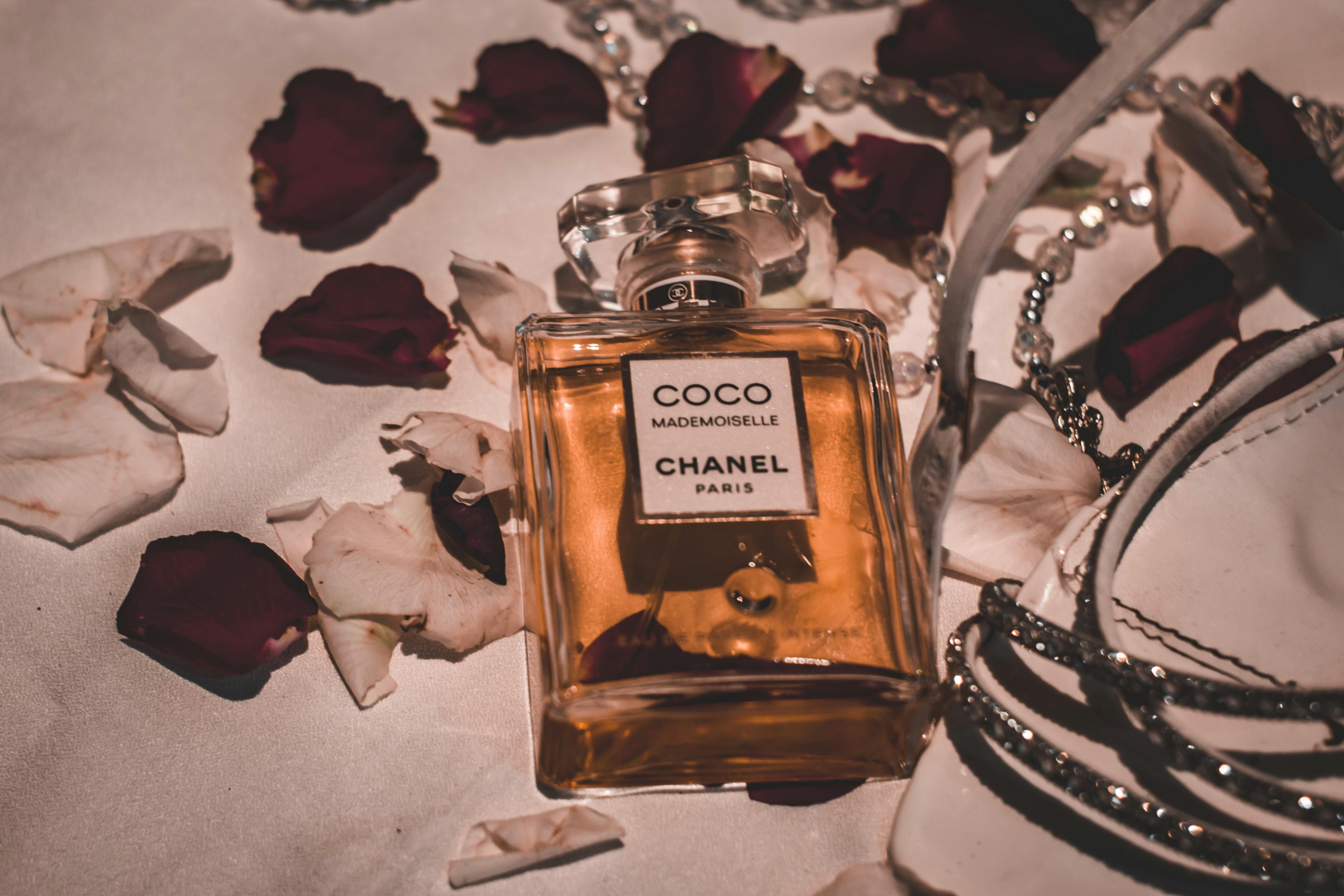 king caplis - 摄影