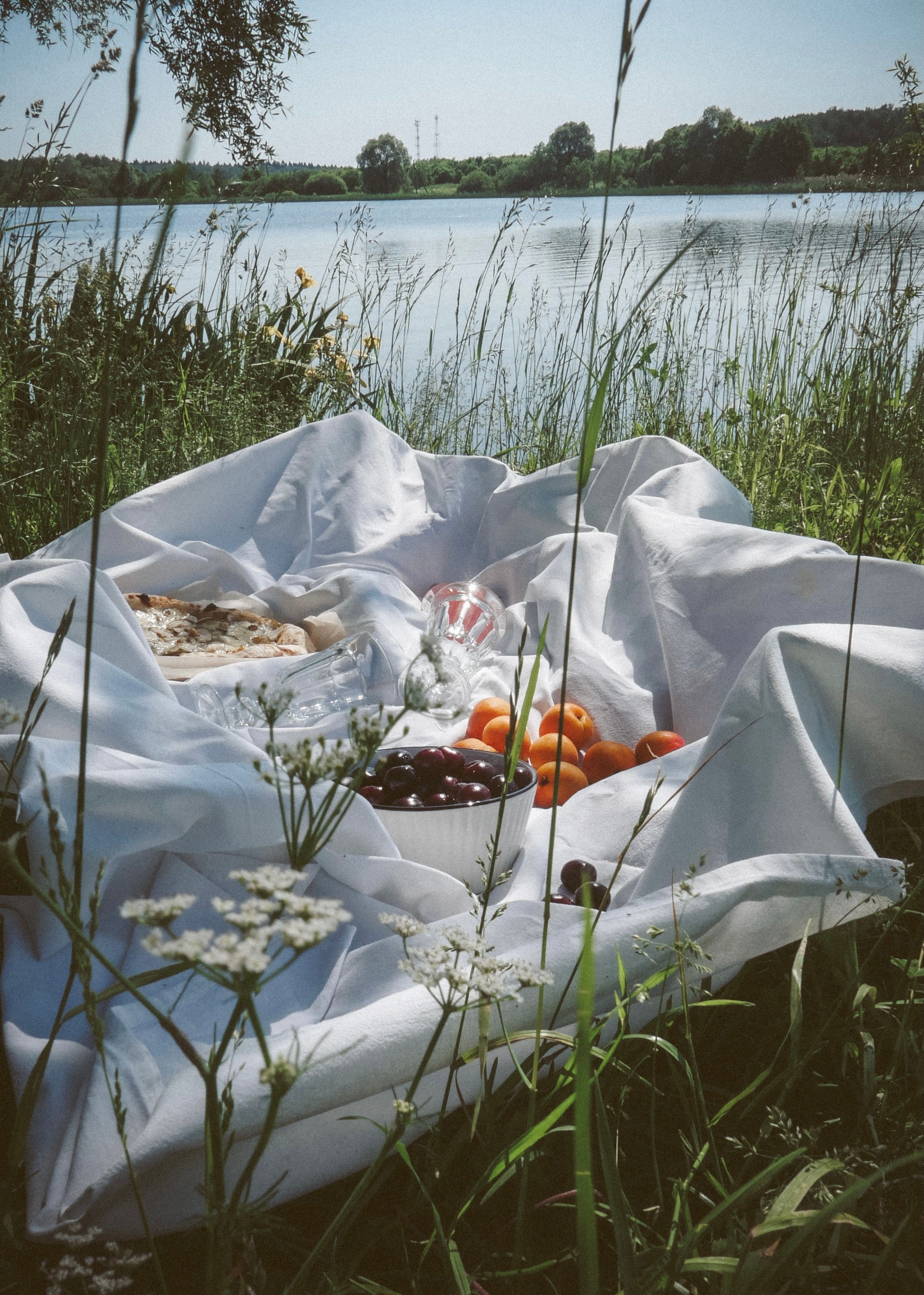 Fruit on Picnic Blanket on Lakeshore · Free Stock Photo