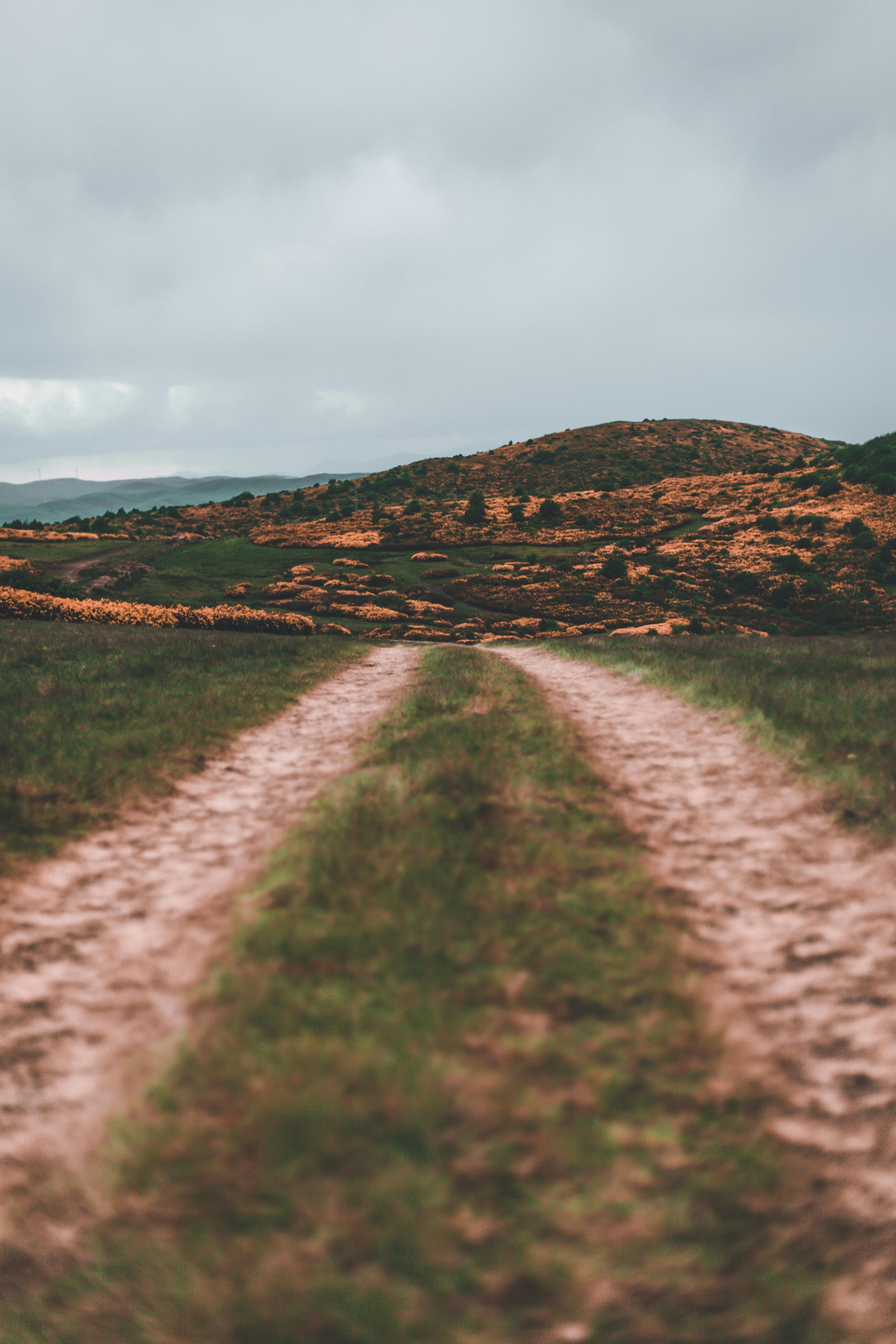 Traces Photos, Download The BEST Free Traces Stock Photos & HD Images