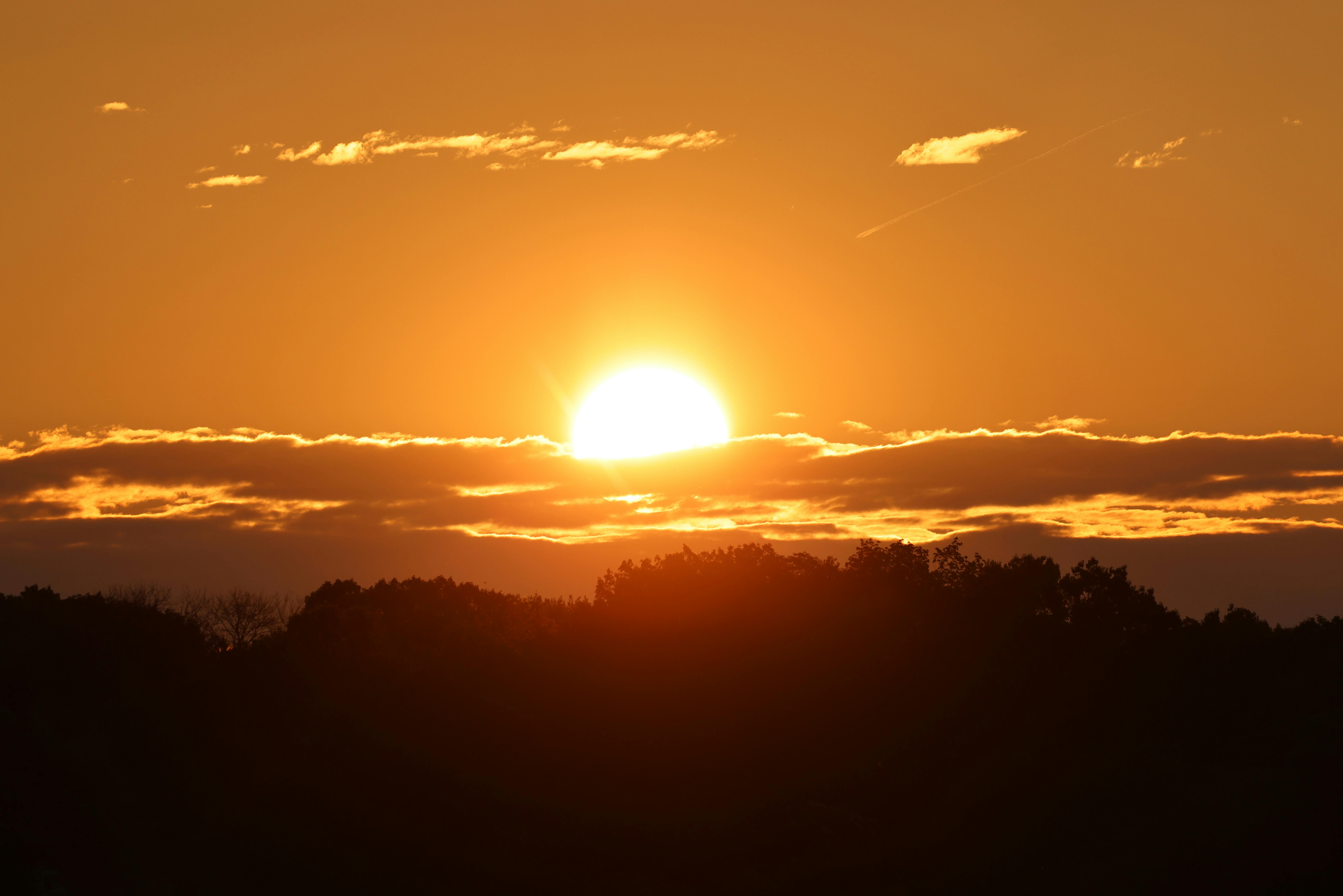 Sunset over Trees · Free Stock Photo