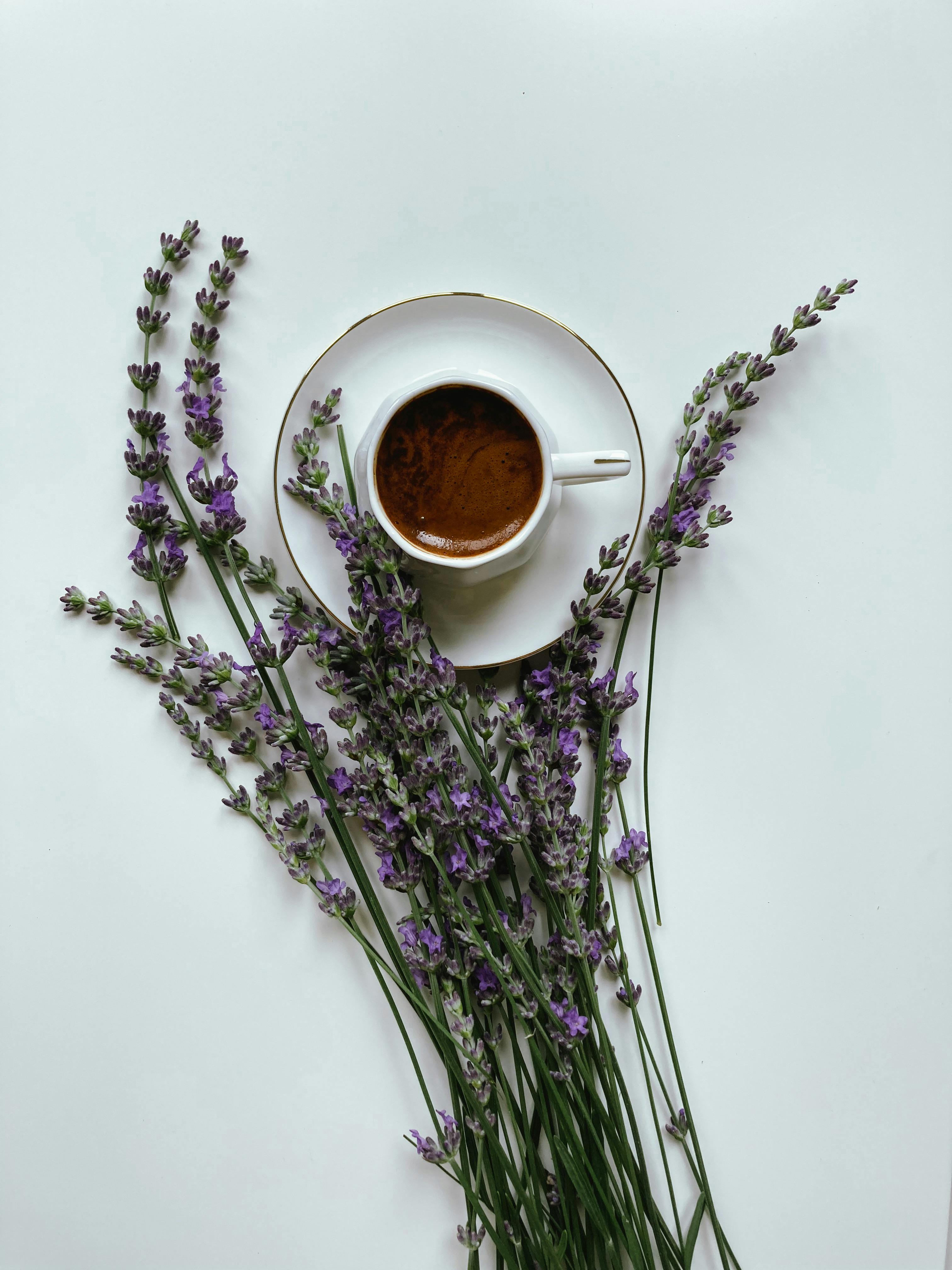 Lavender Coffee Photos, Download The BEST Free Lavender Coffee Stock ...