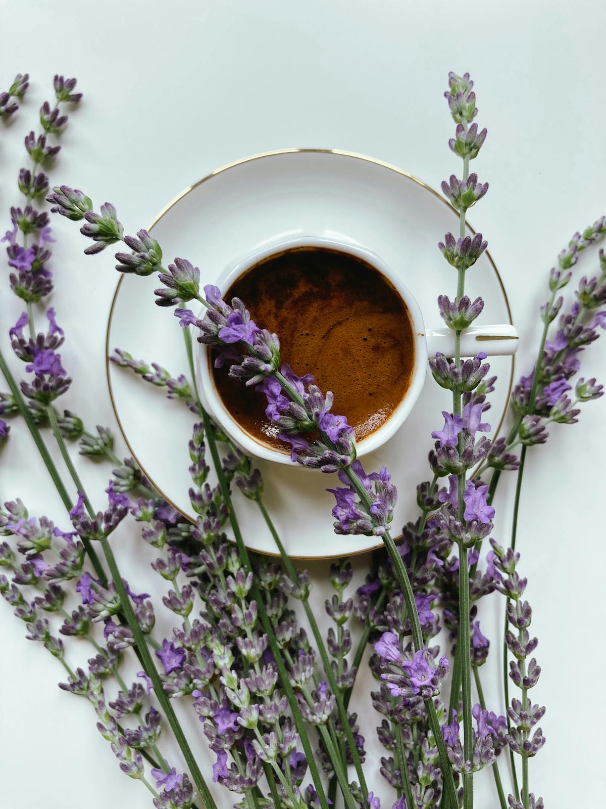 Lavender Backgrounds Photos, Download The BEST Free Lavender ...