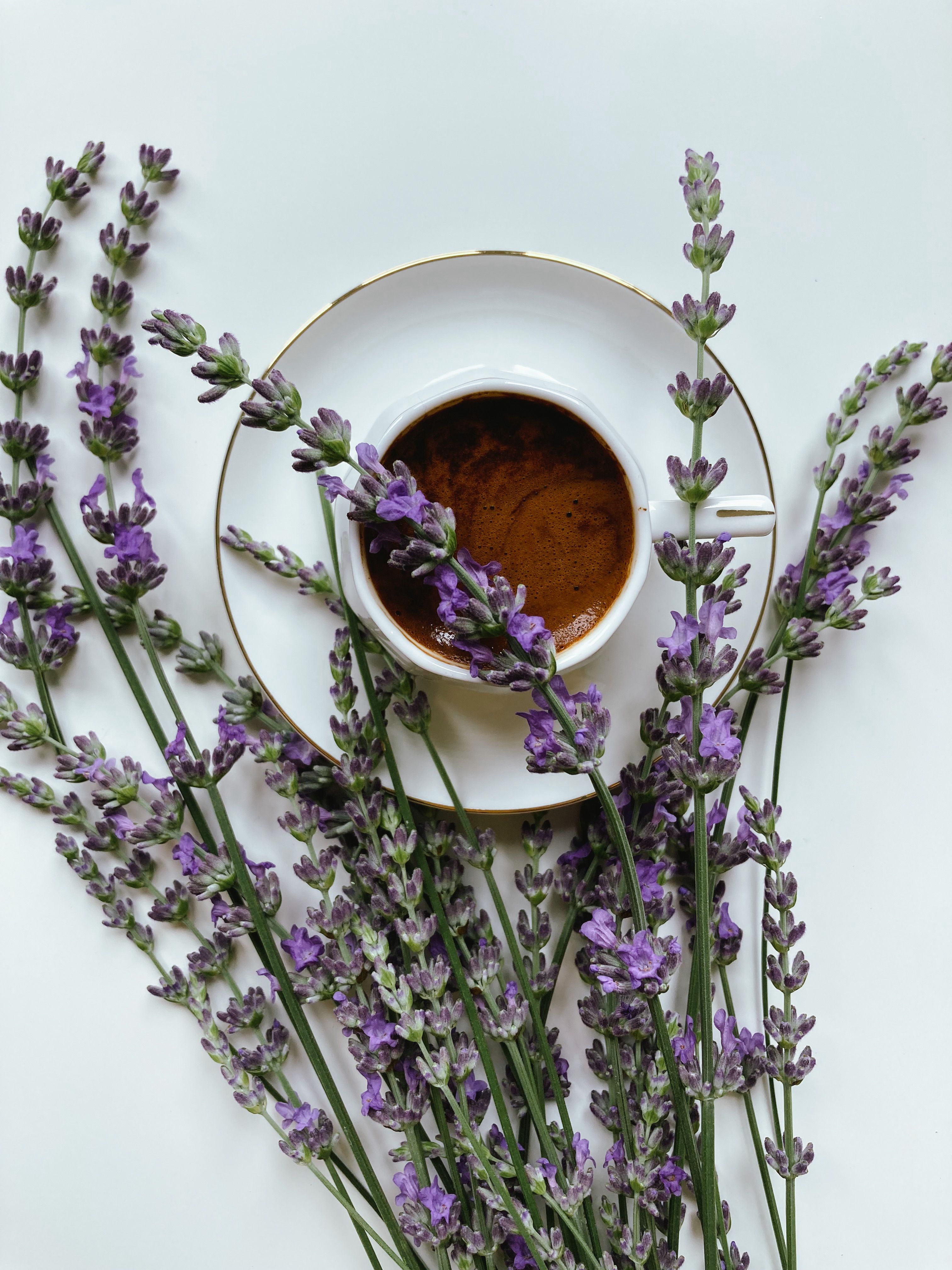 Foto profissional gratuita de aroma, aroma de lavanda, aromaterapia ...