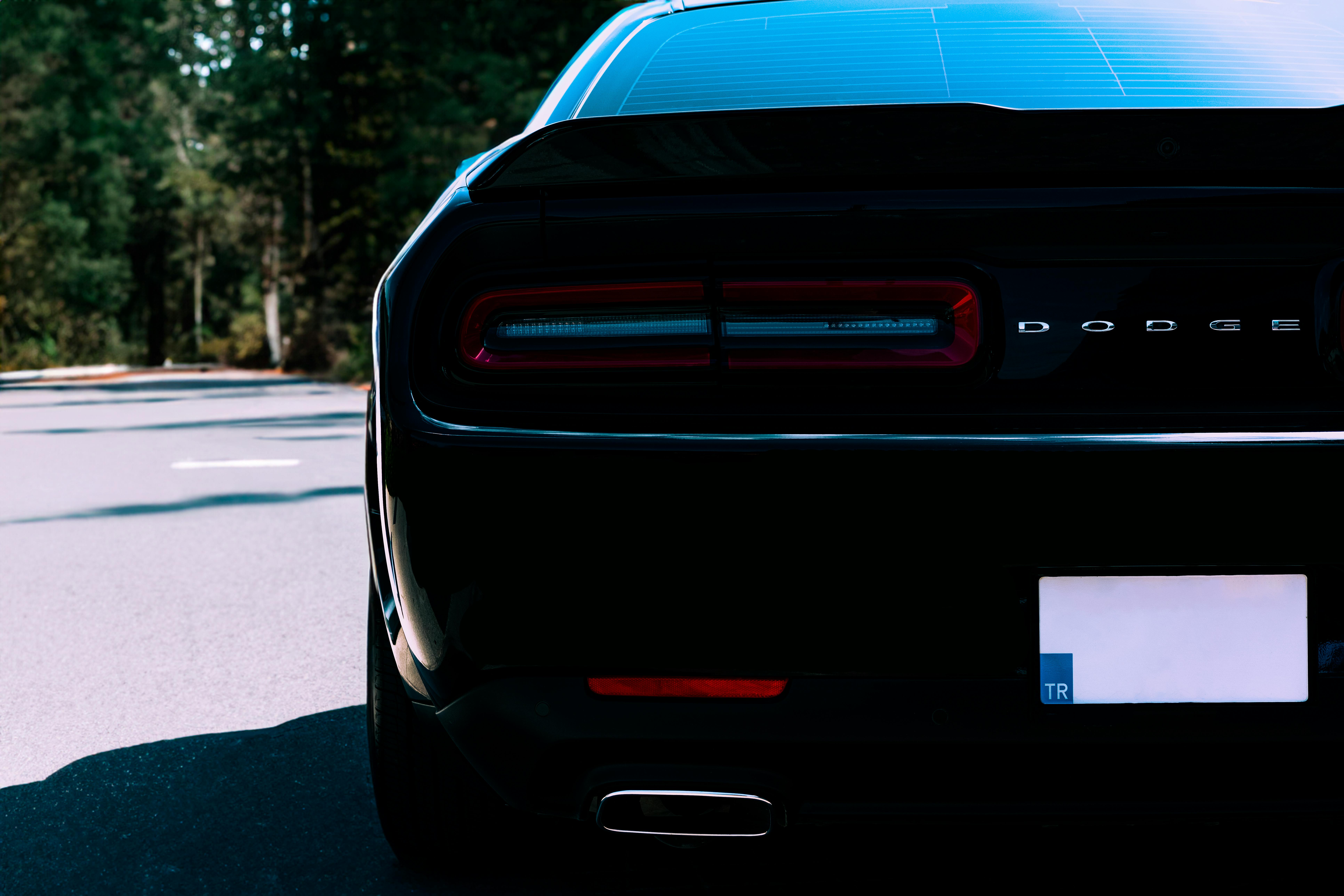 Back of a Black Dodge Challenger · Free Stock Photo
