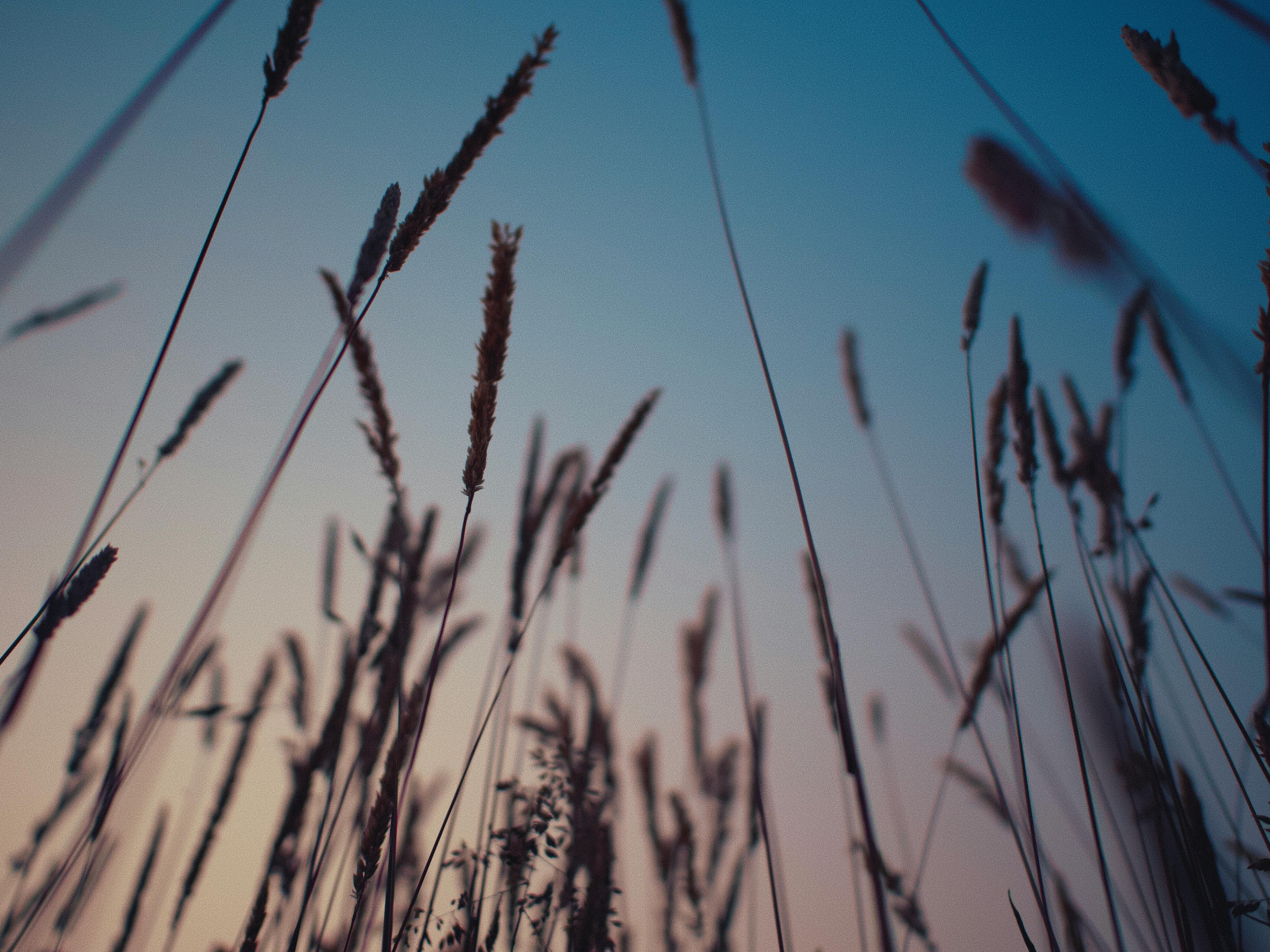 Aaron Burden - Photography