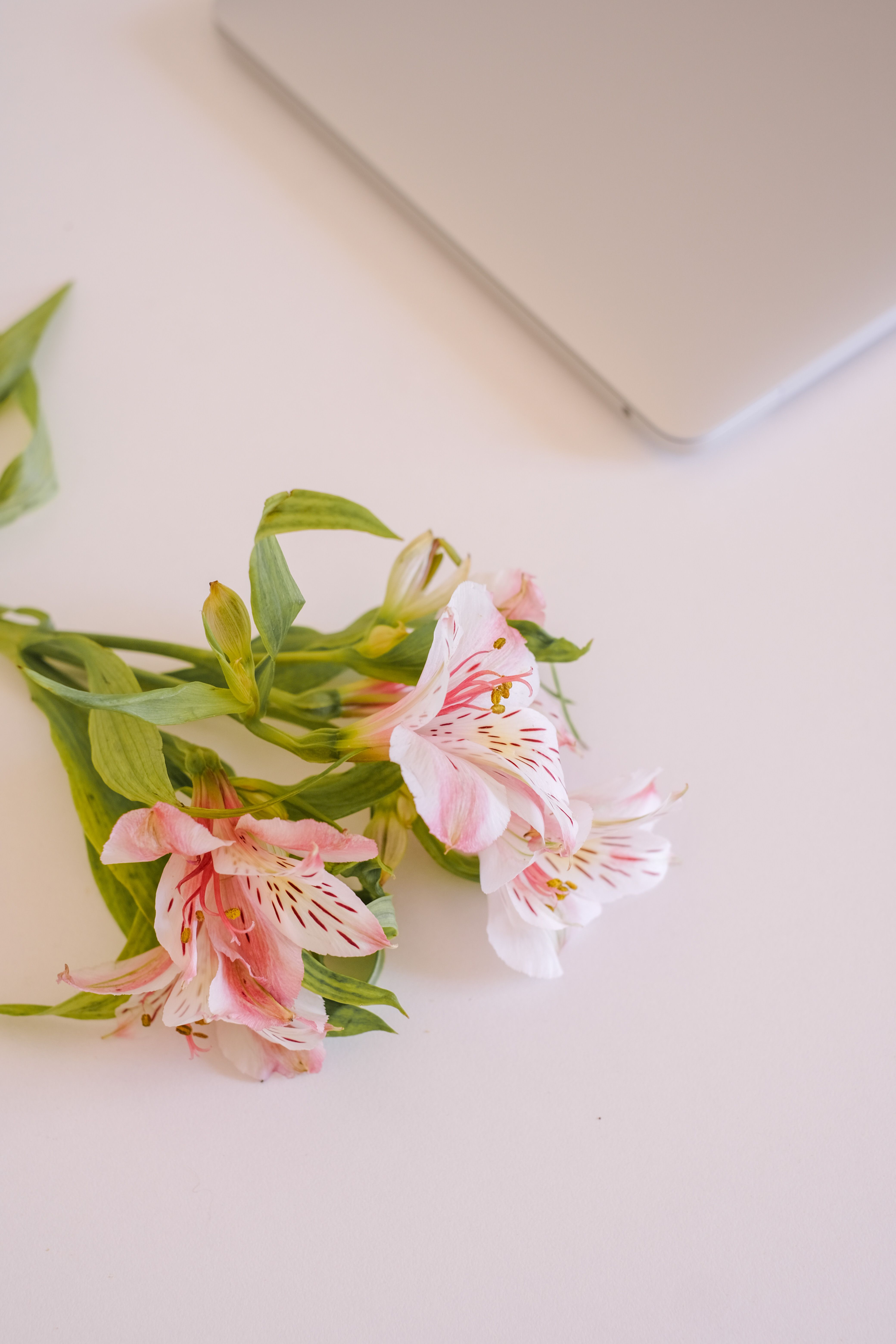 Hybrid Workspace Photos Download The Best Free Hybrid Workspace Stock