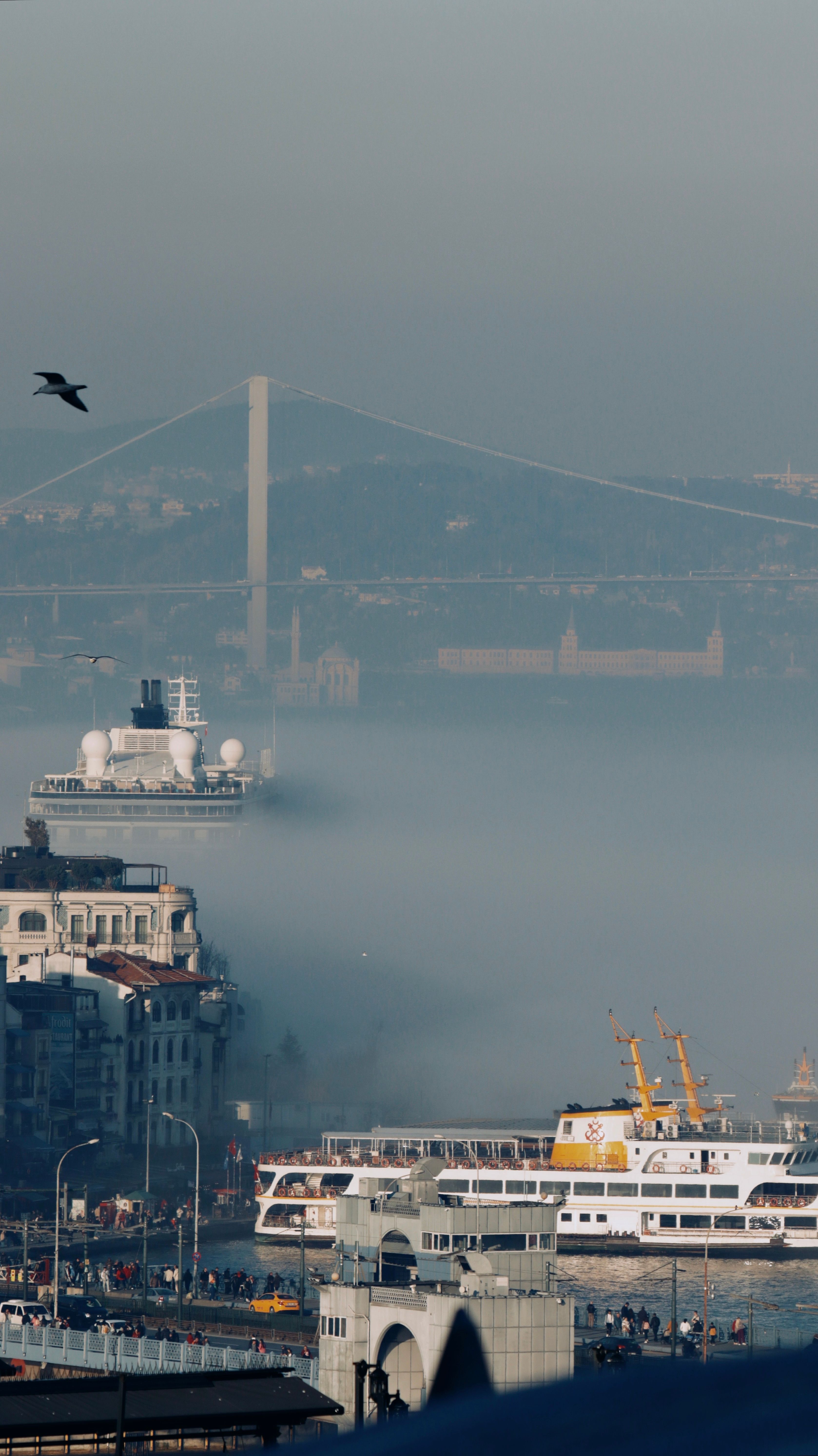 Fog over Sea Coast of Istanbul · Free Stock Photo
