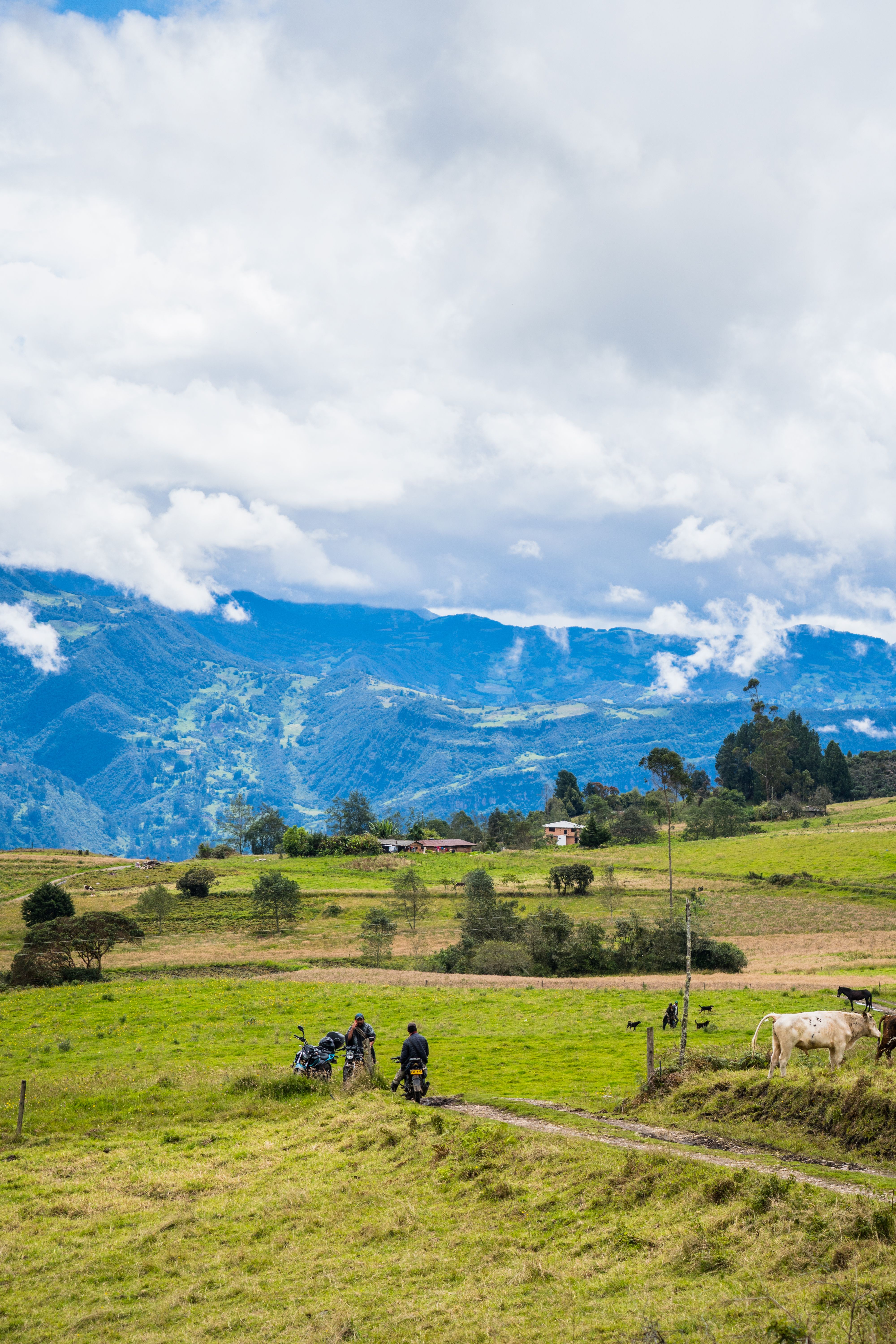 Green Countryside Landscape · Free Stock Photo