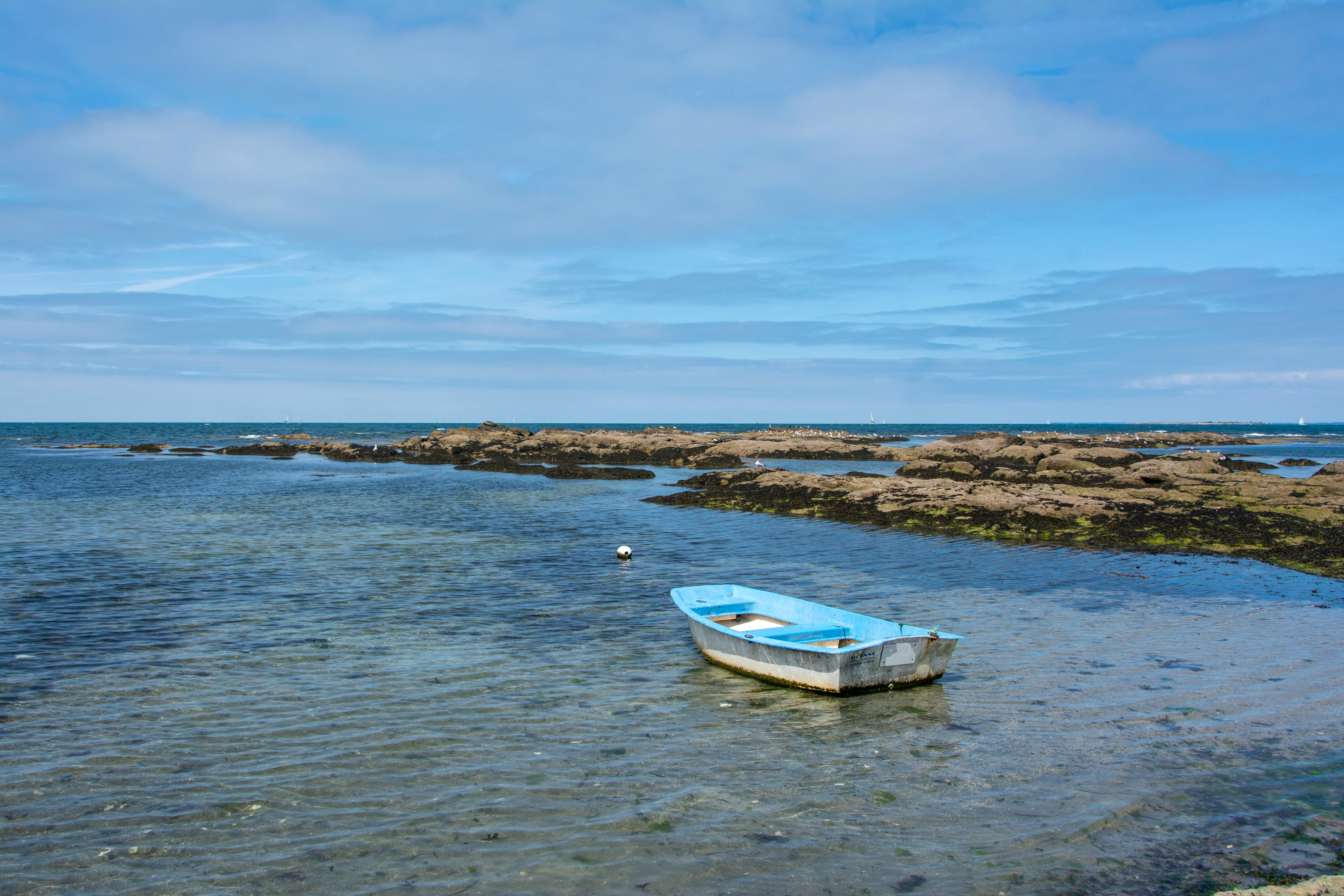 Boat Swimming on Shore · Free Stock Photo