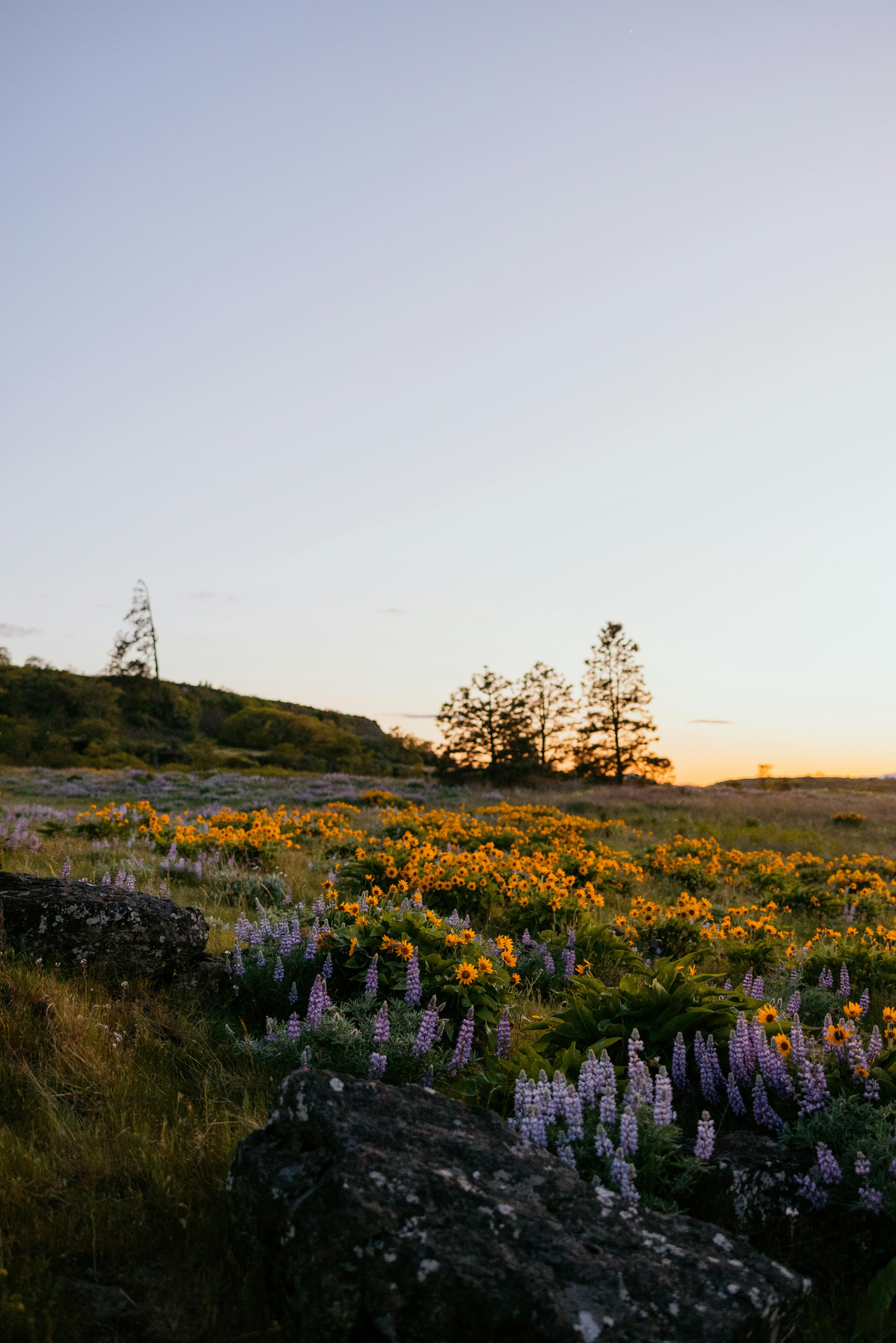 Sunset Plains Photos, Download The BEST Free Sunset Plains Stock Photos ...