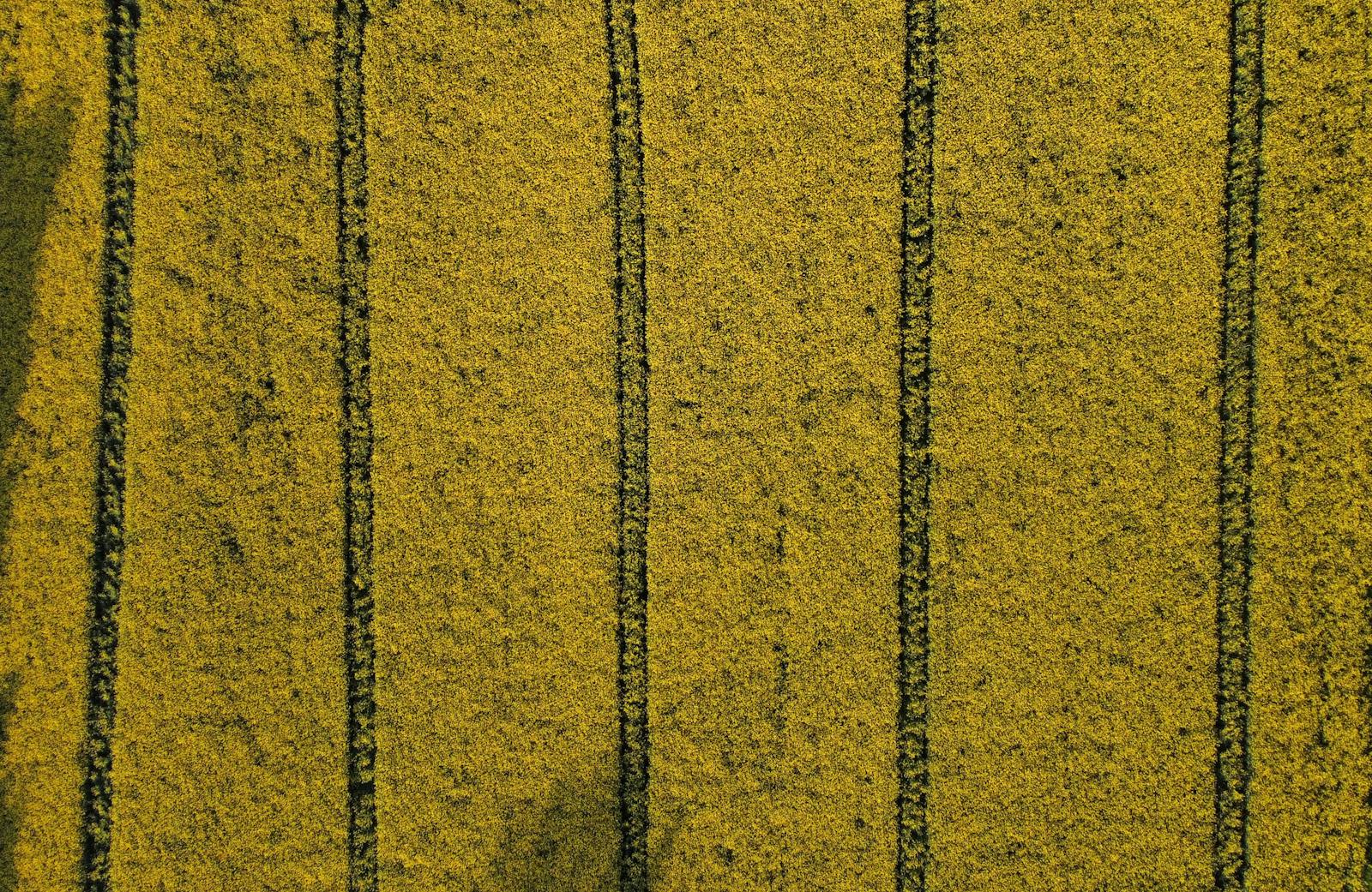 Dark Paper Texture Photos, Download The BEST Free Dark Paper Texture ...