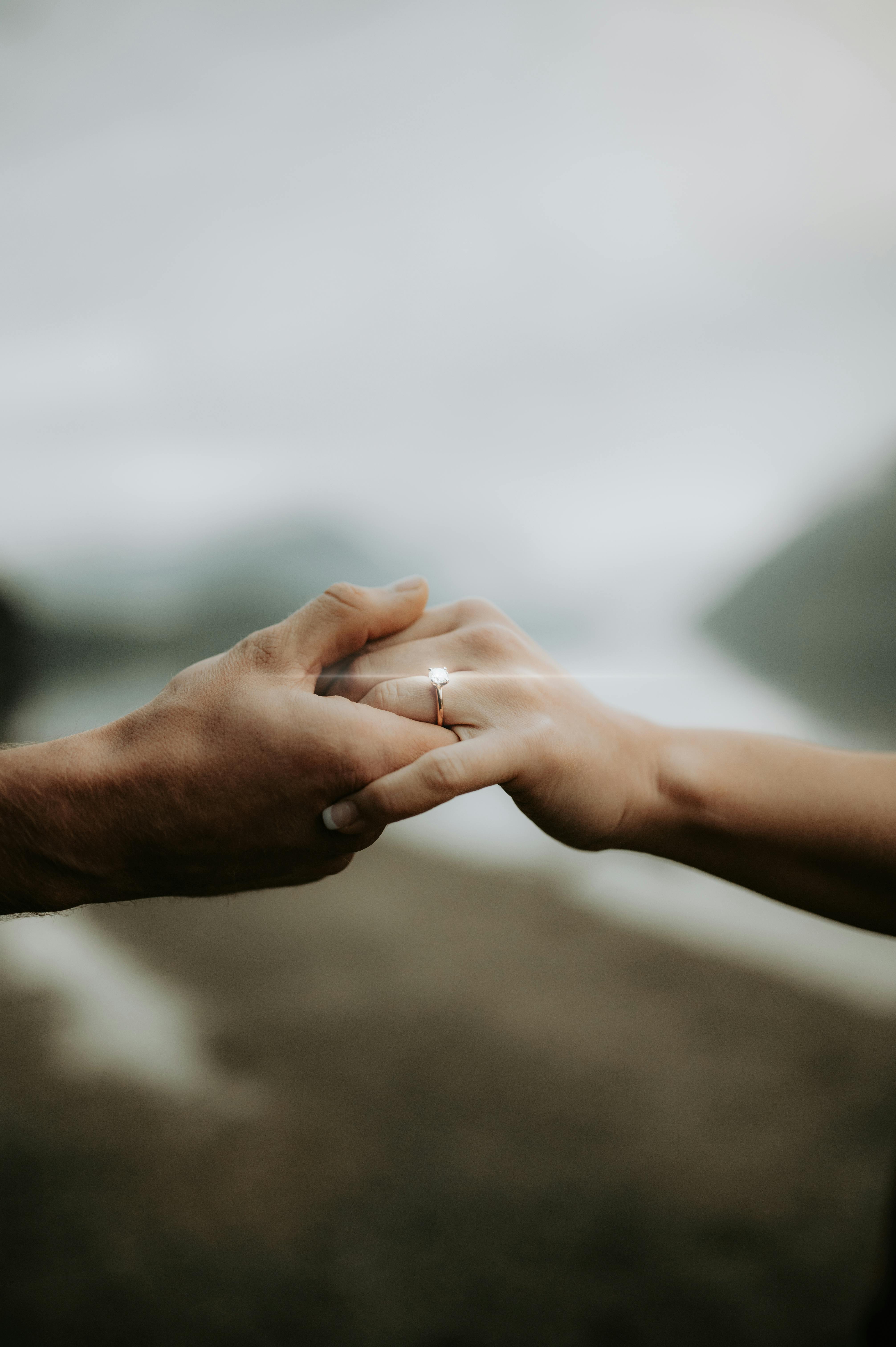 Proposal Photos, Download The BEST Free Proposal Stock Photos & HD Images