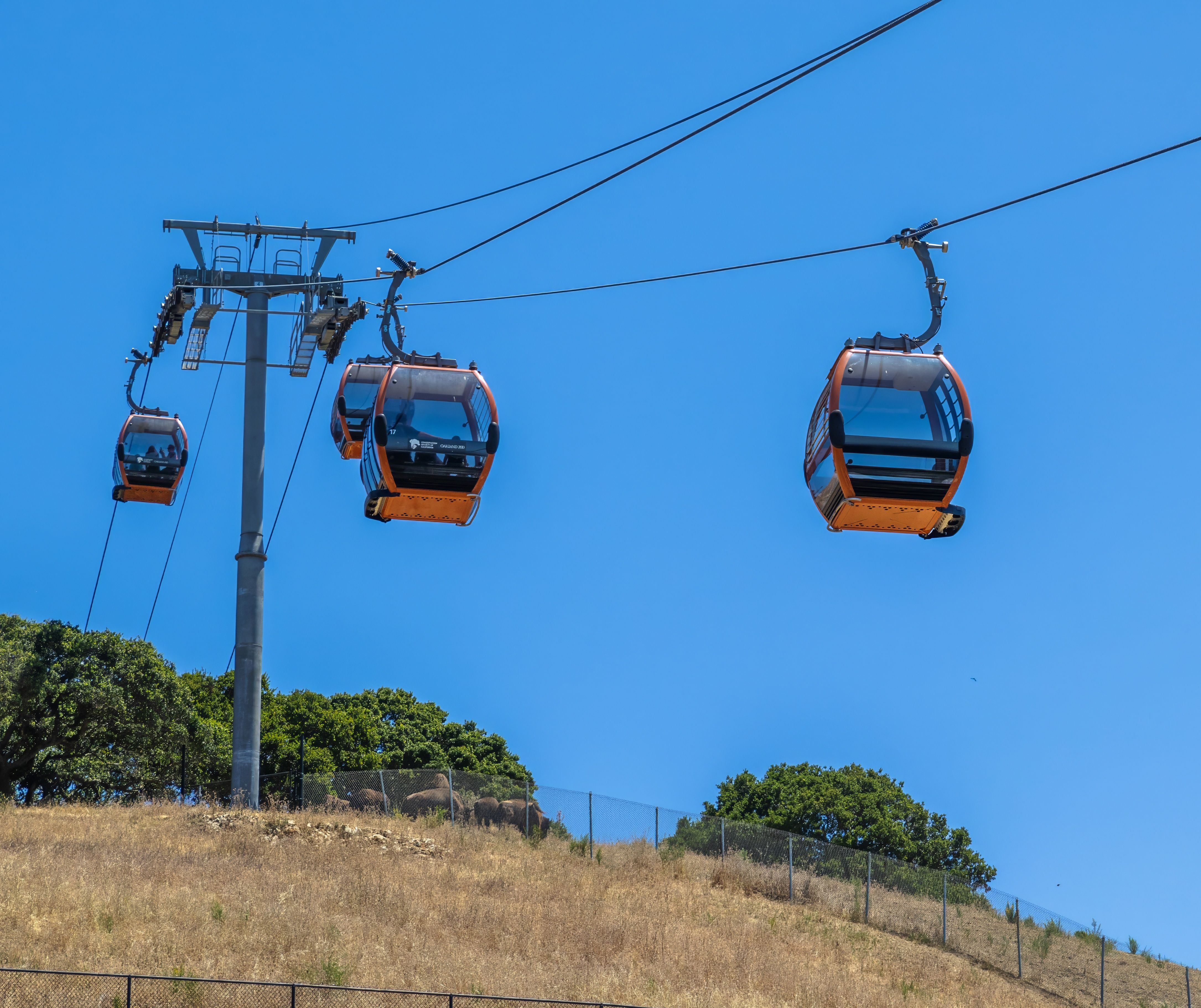 Gondola Lift Cabins over the Mountain Slope · Free Stock Photo