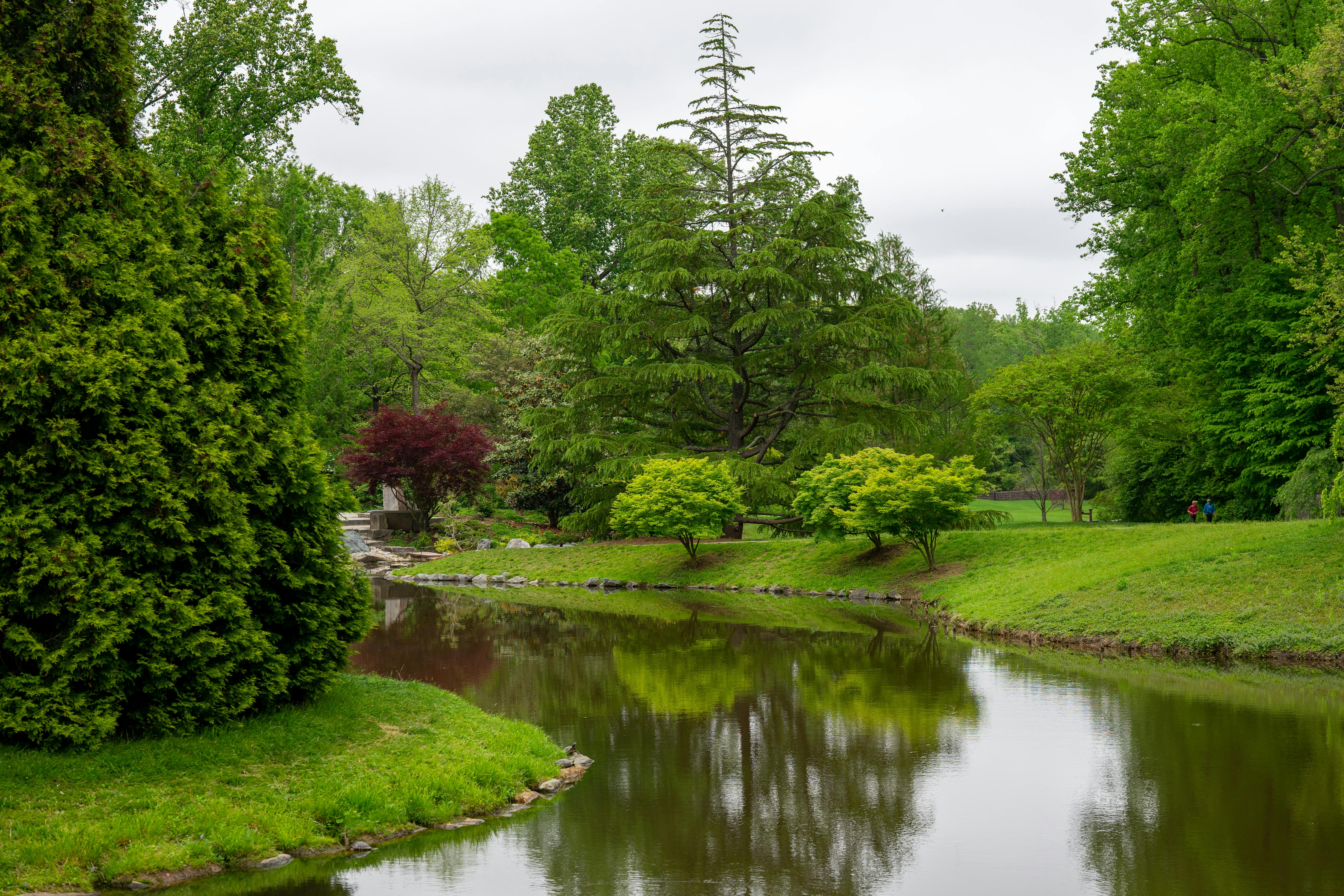 River in Park · Free Stock Photo