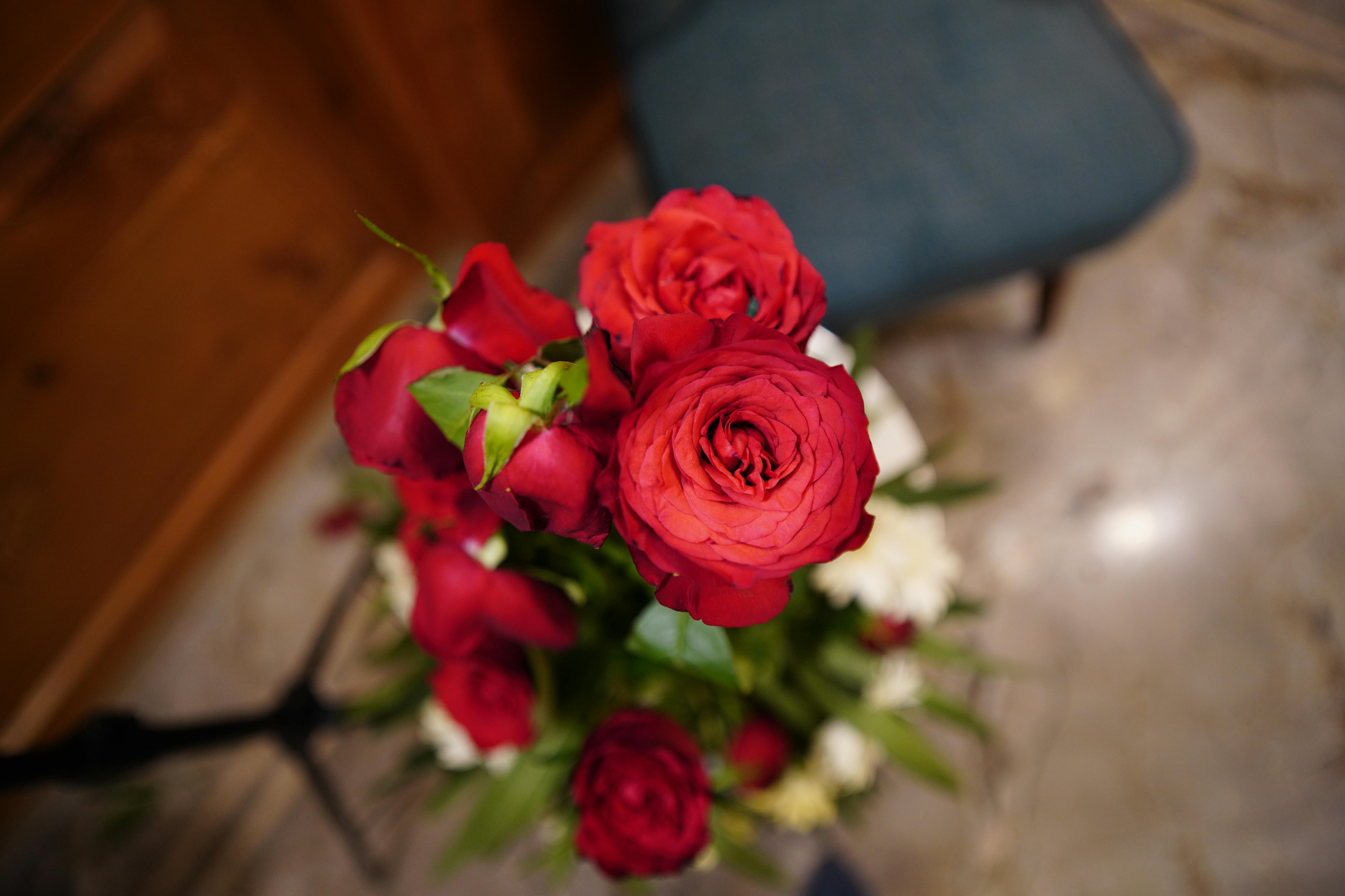 Close up of Red Roses · Free Stock Photo