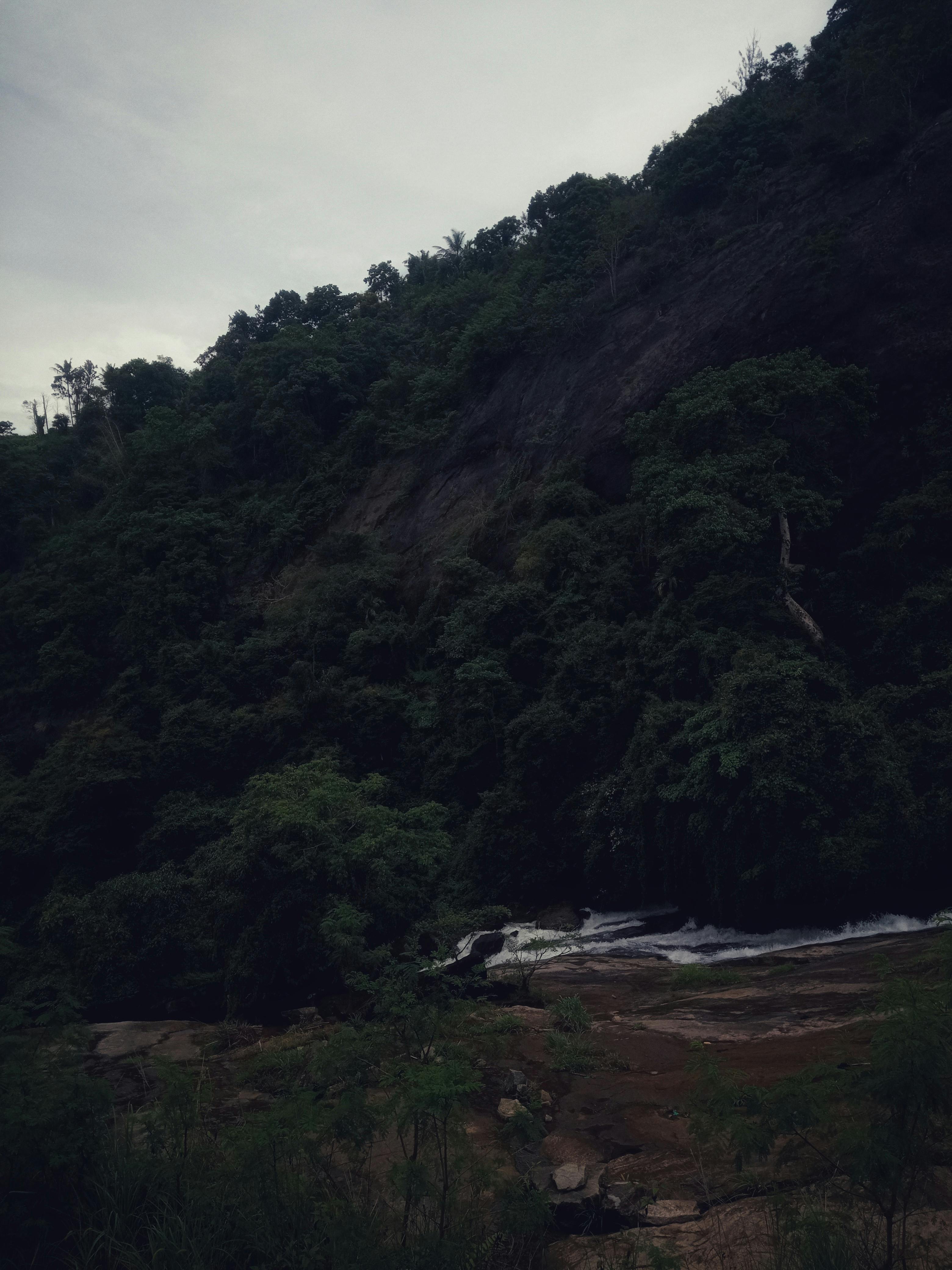 Artificial Damming of the River · Free Stock Photo