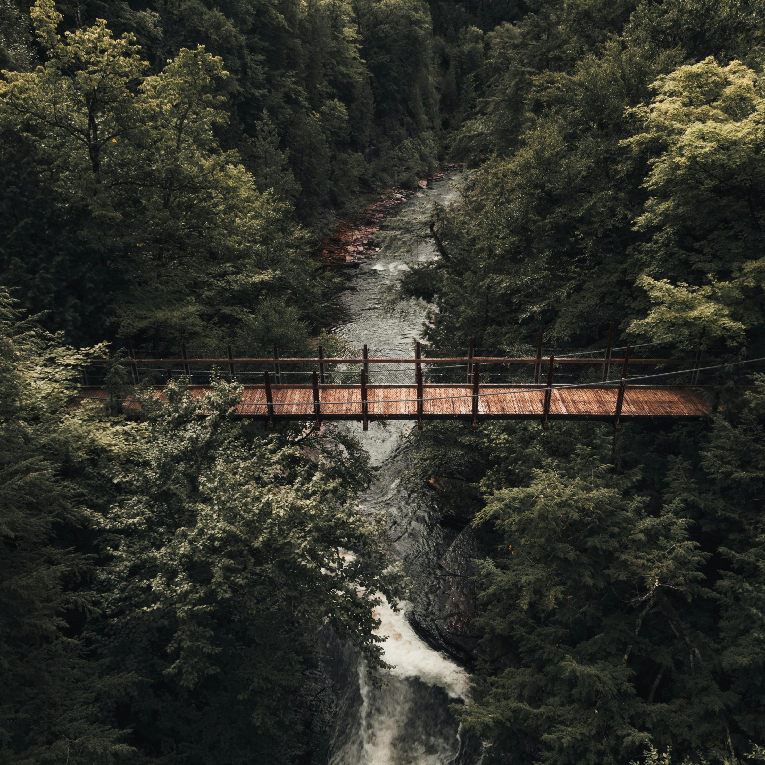 Bridge over Ravine · Free Stock Photo