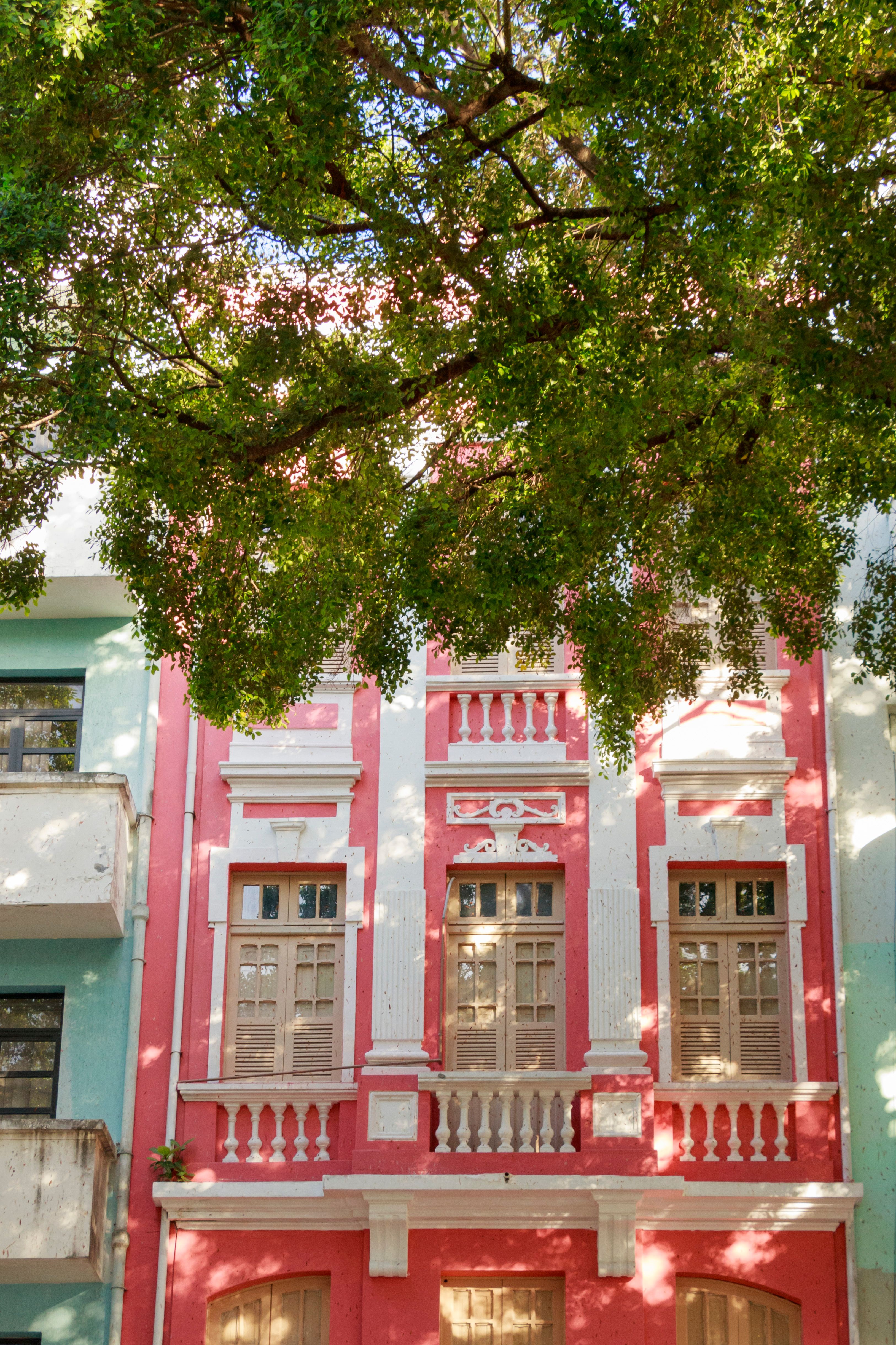 Tree Near Pink Townhouse · Free Stock Photo