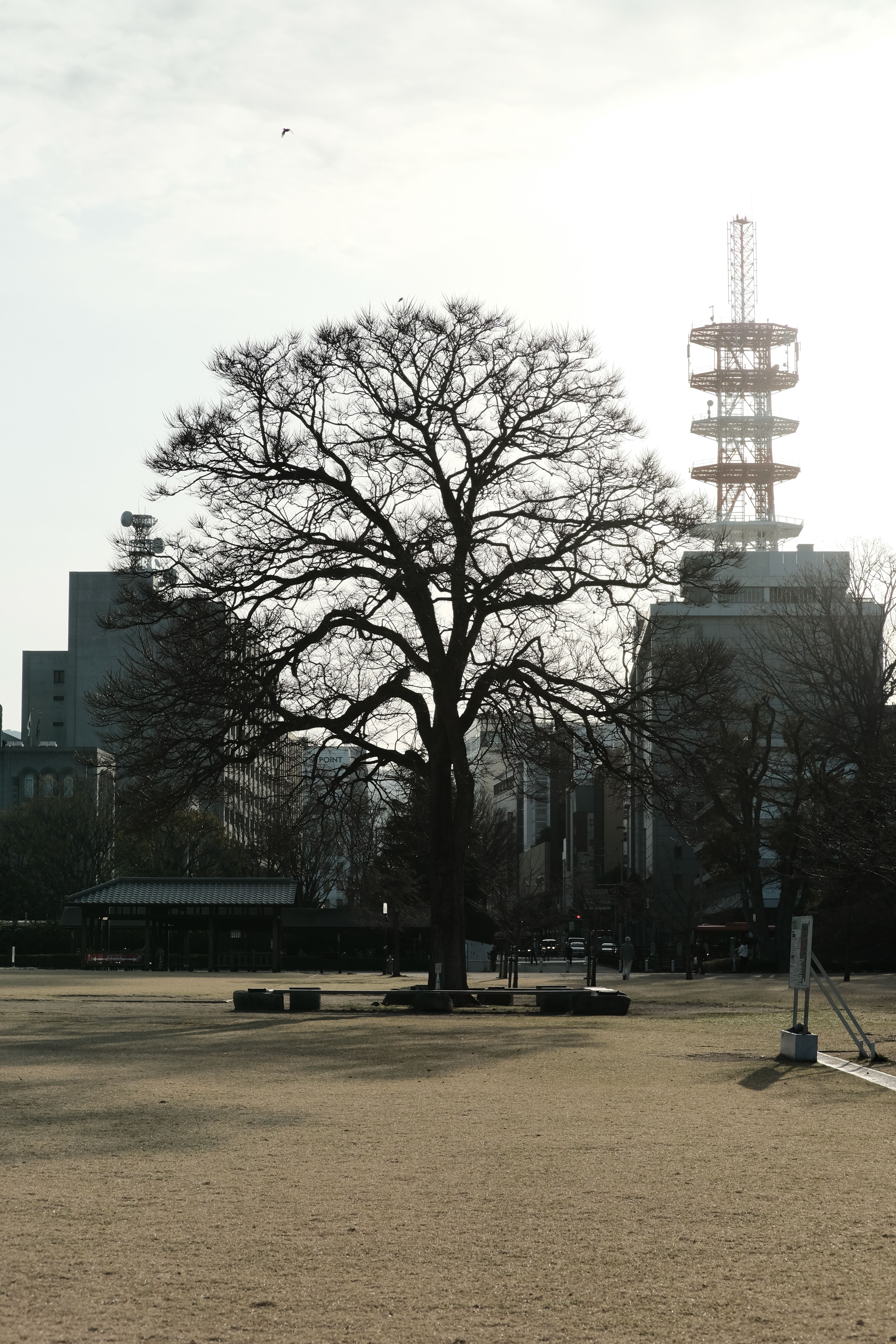 Barren City Photos, Download The BEST Free Barren City Stock Photos ...