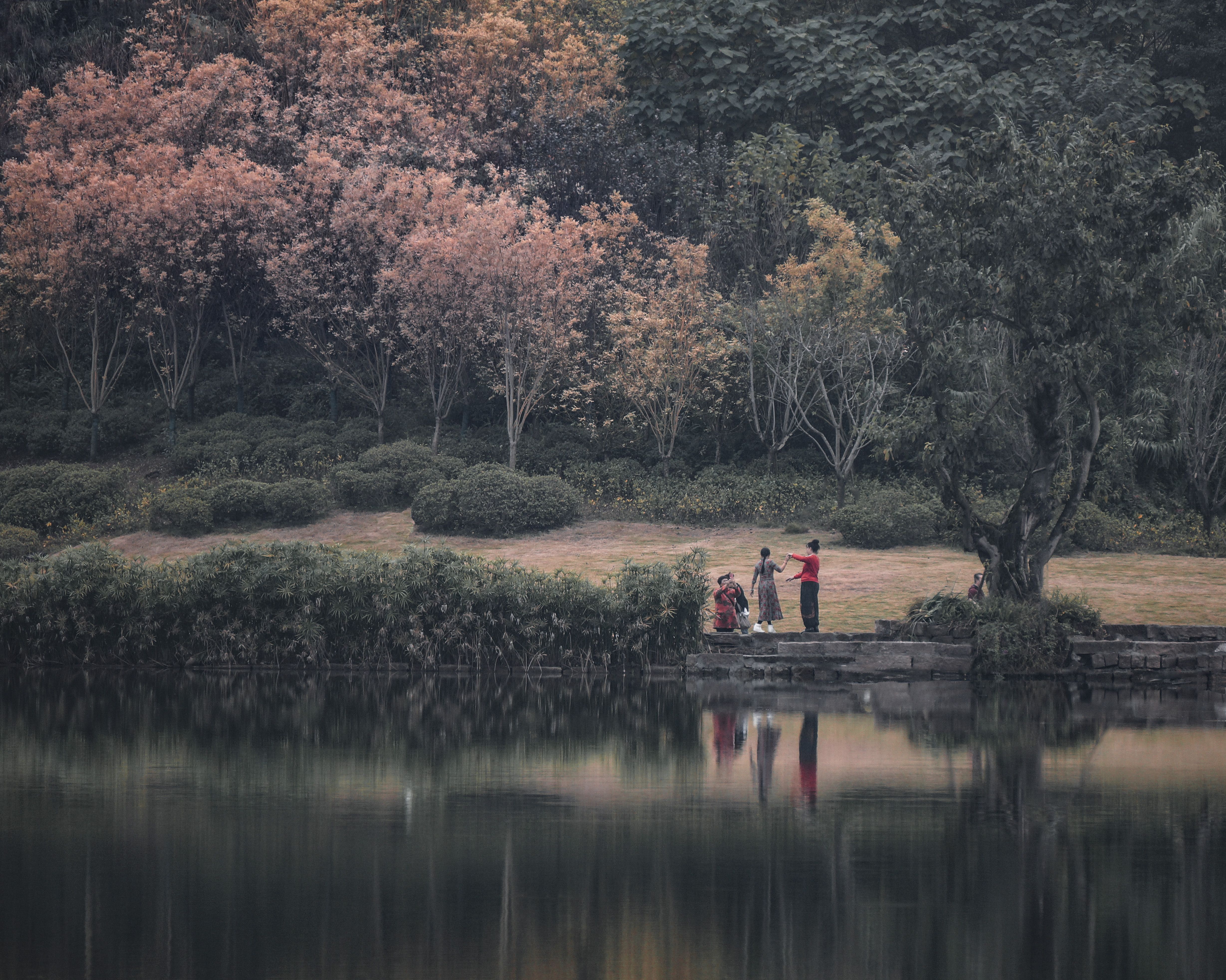 Landscape with Trees, and People Standing by a Pond · Free Stock Photo