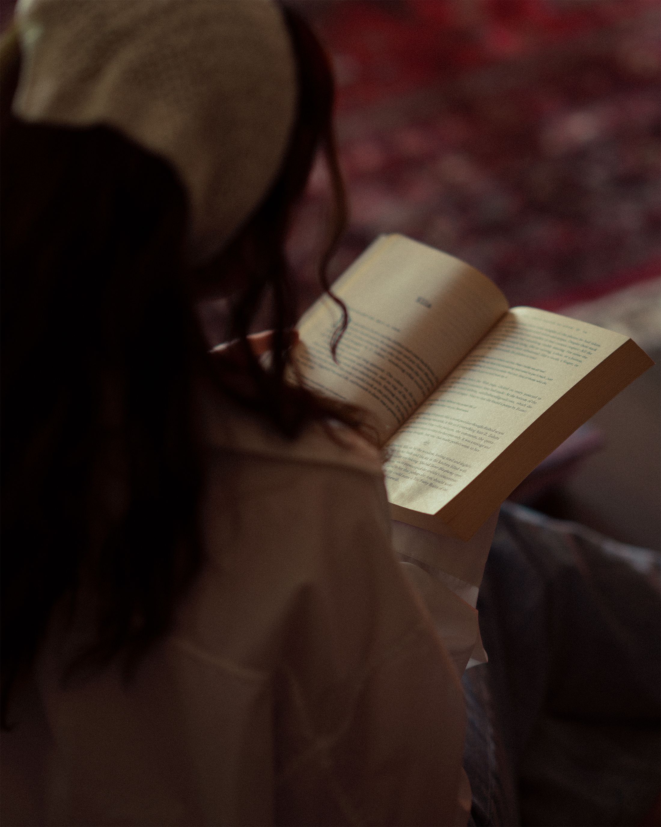 Back View of Woman Reading Book · Free Stock Photo