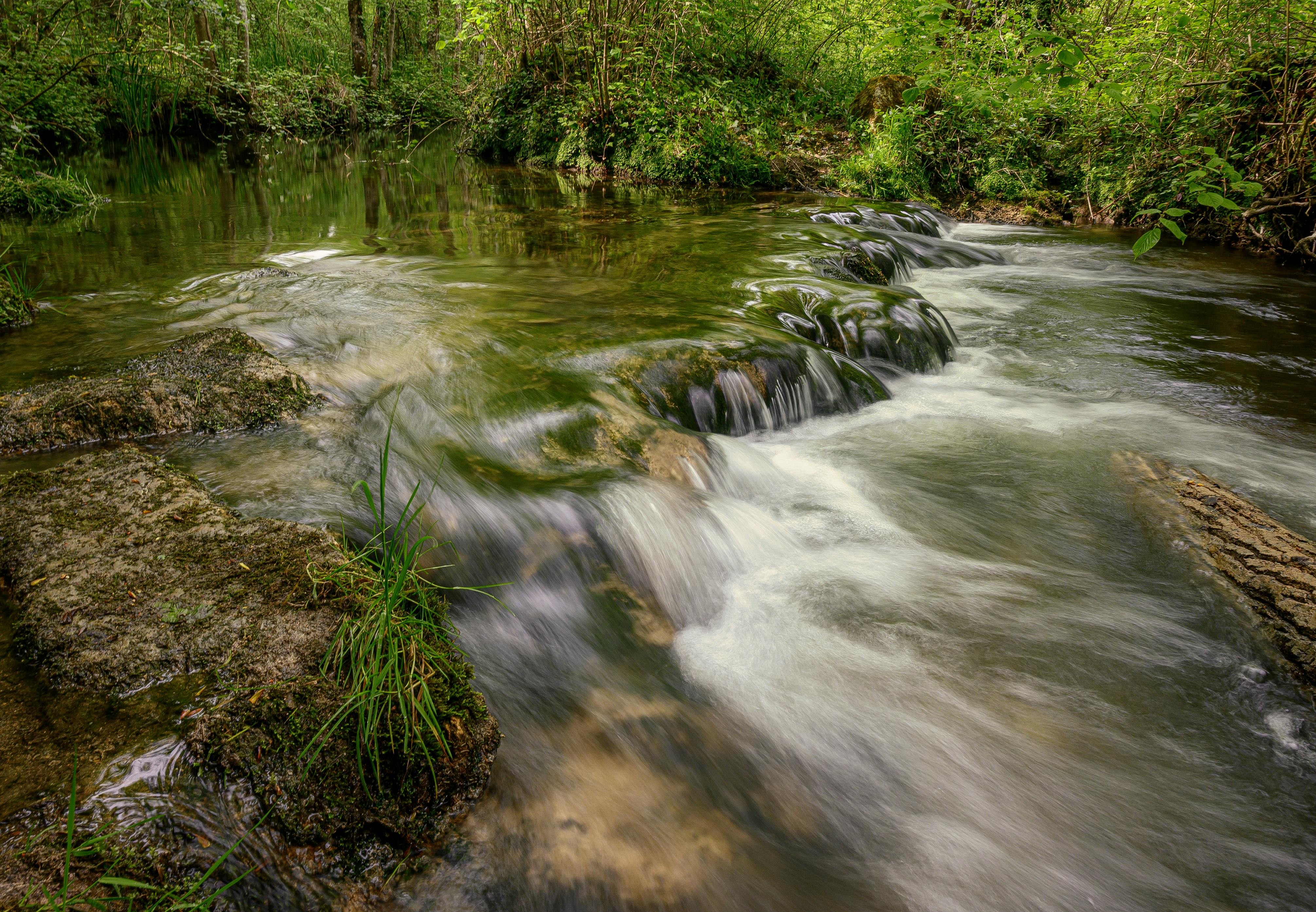 A River in the Forest Photographed in Long Exposure Effect · Free Stock ...