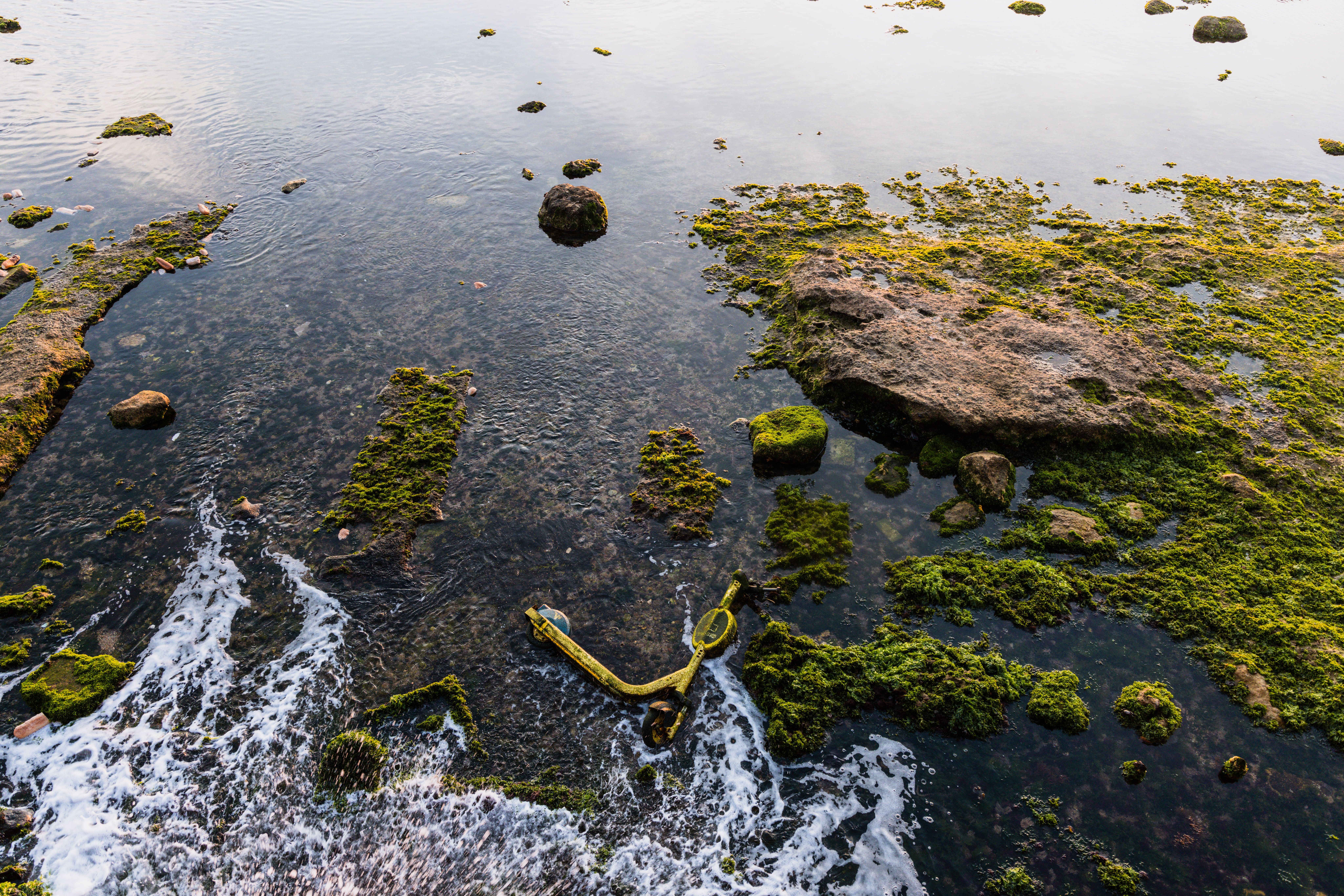 Aquatic Environmental Pollution Photos, Download The BEST Free Aquatic ...