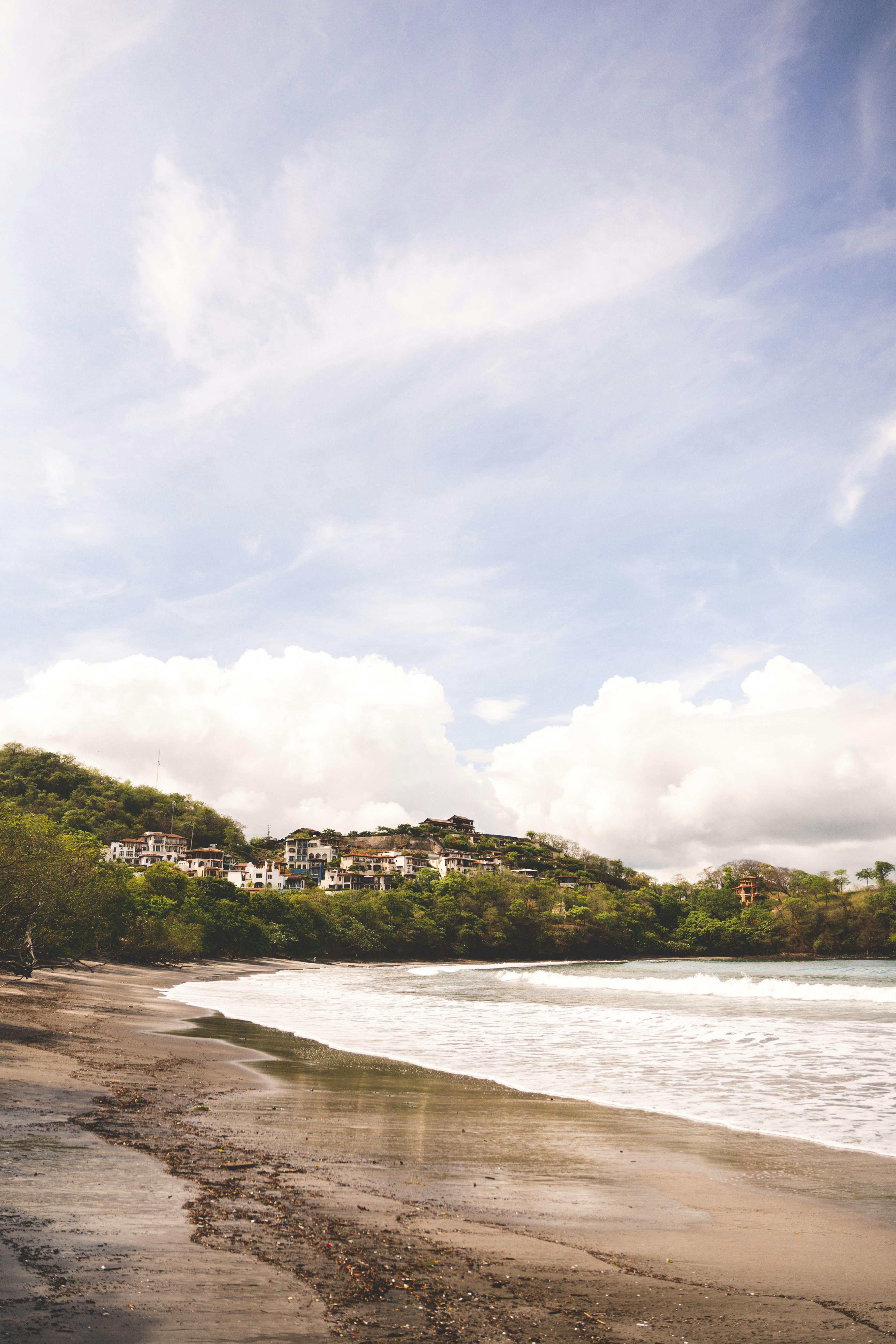 Beach Forest Photos, Download The BEST Free Beach Forest Stock Photos ...