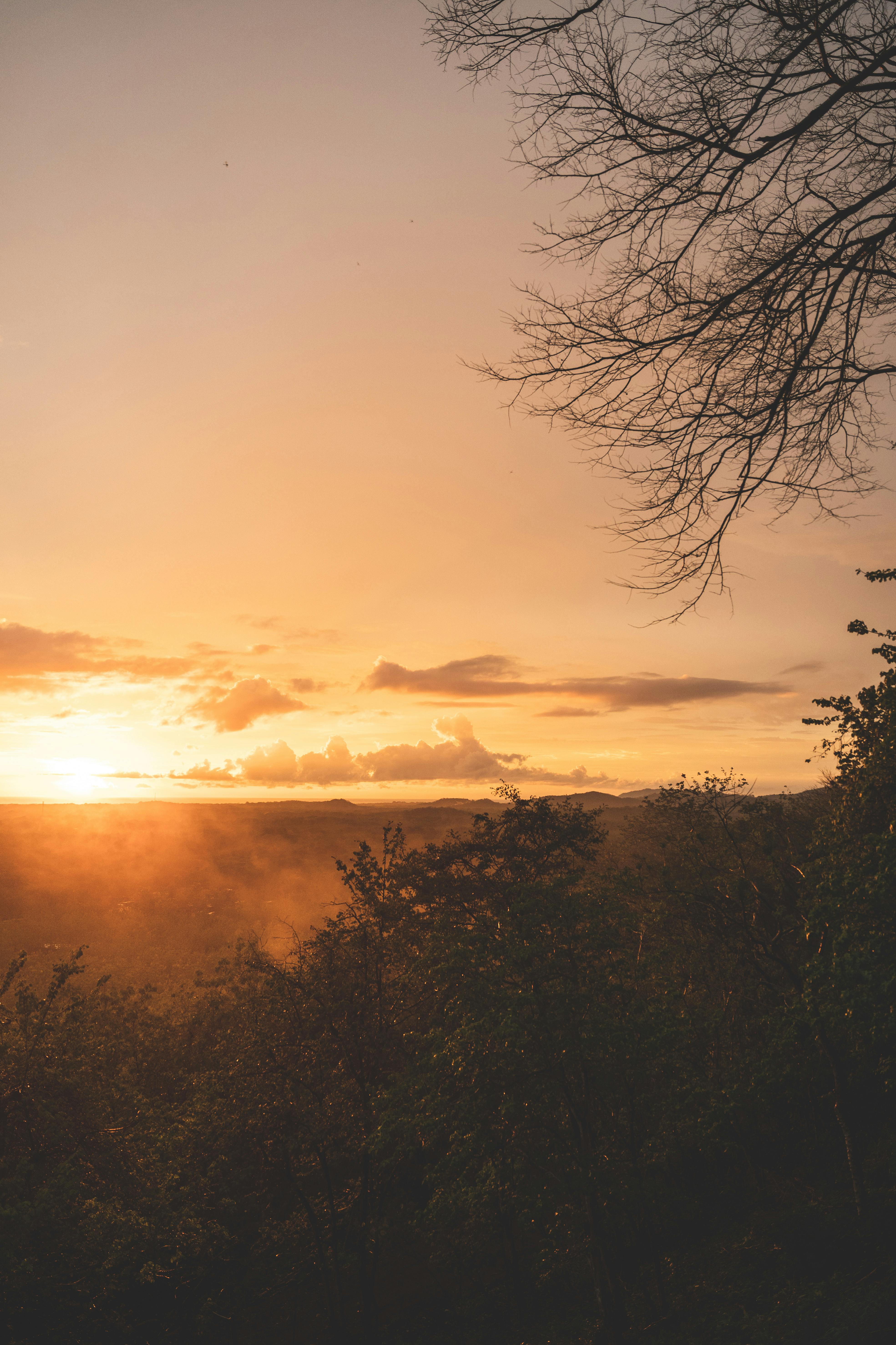 Sunset on Horizon over Woods in Costa Rica · Free Stock Photo