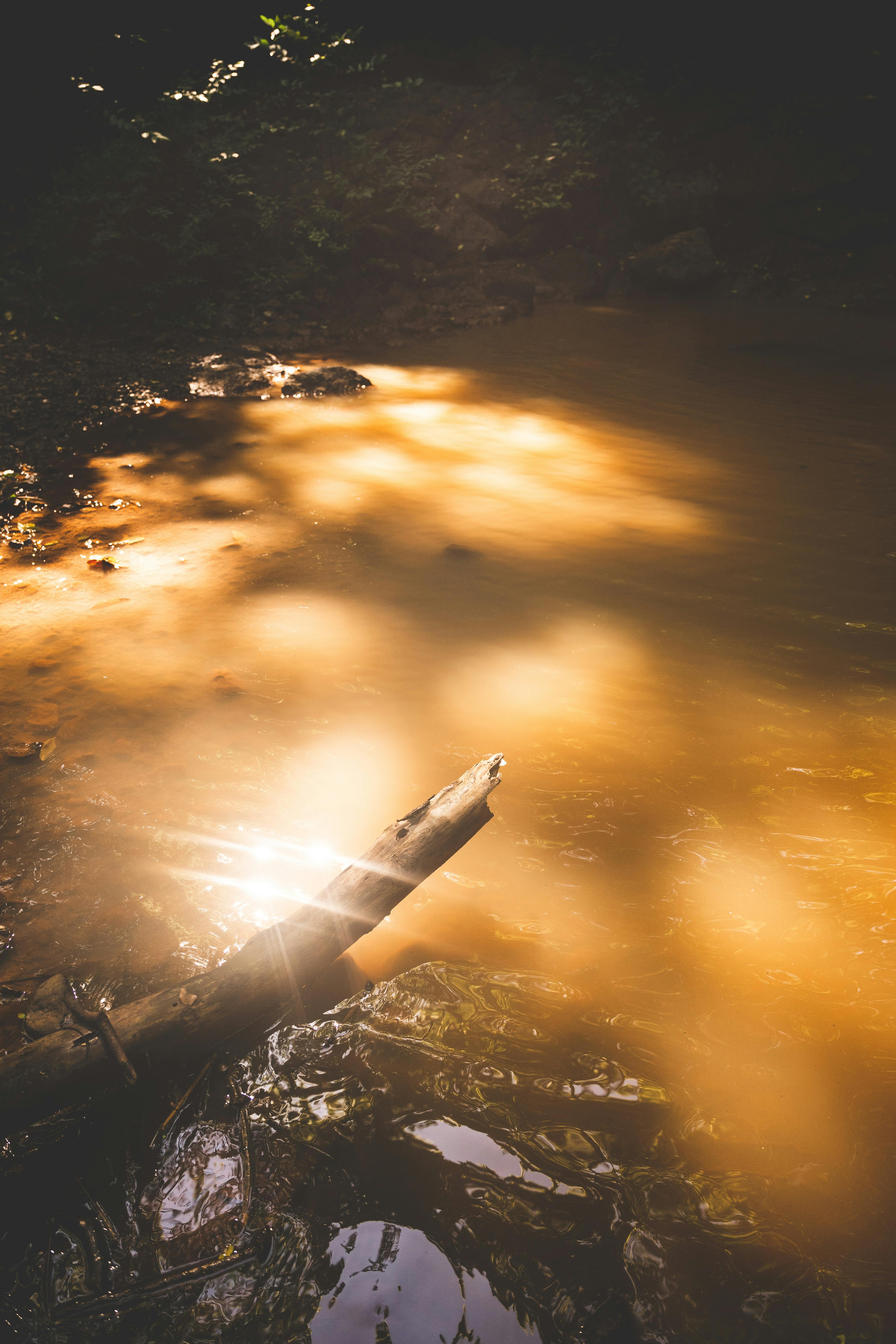 Shiny Overlay Photos, Download The BEST Free Shiny Overlay Stock Photos ...