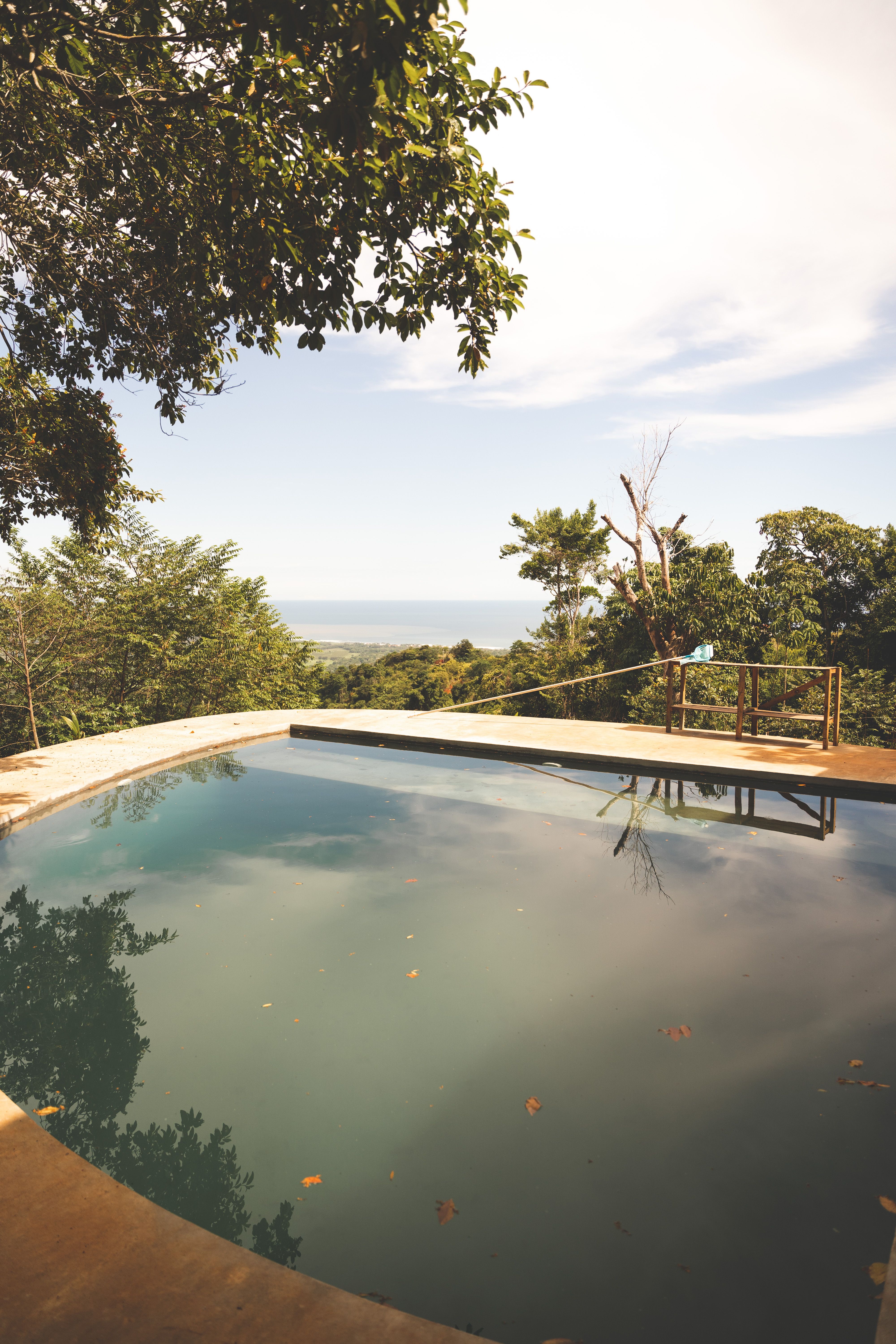 Pool in Forest · Free Stock Photo