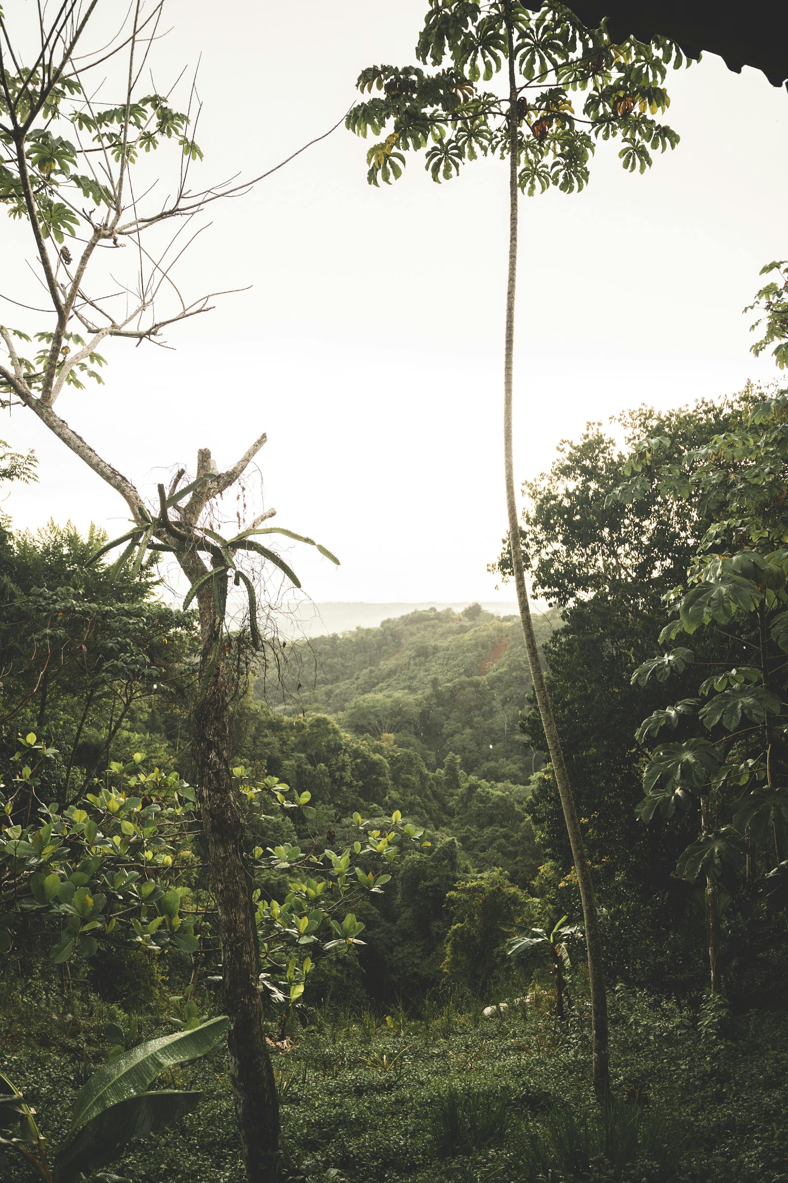 Costa Rica Photos, Download The BEST Free Costa Rica Stock Photos & HD ...